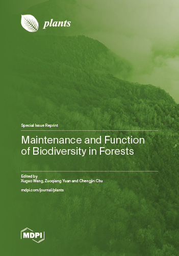 Maintenance and Function of Biodiversity in Forests | MDPI Books