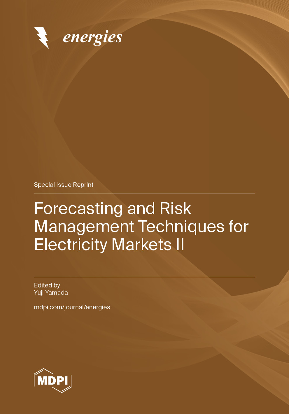 Forecasting and Risk Management Techniques for Electricity Markets II ...
