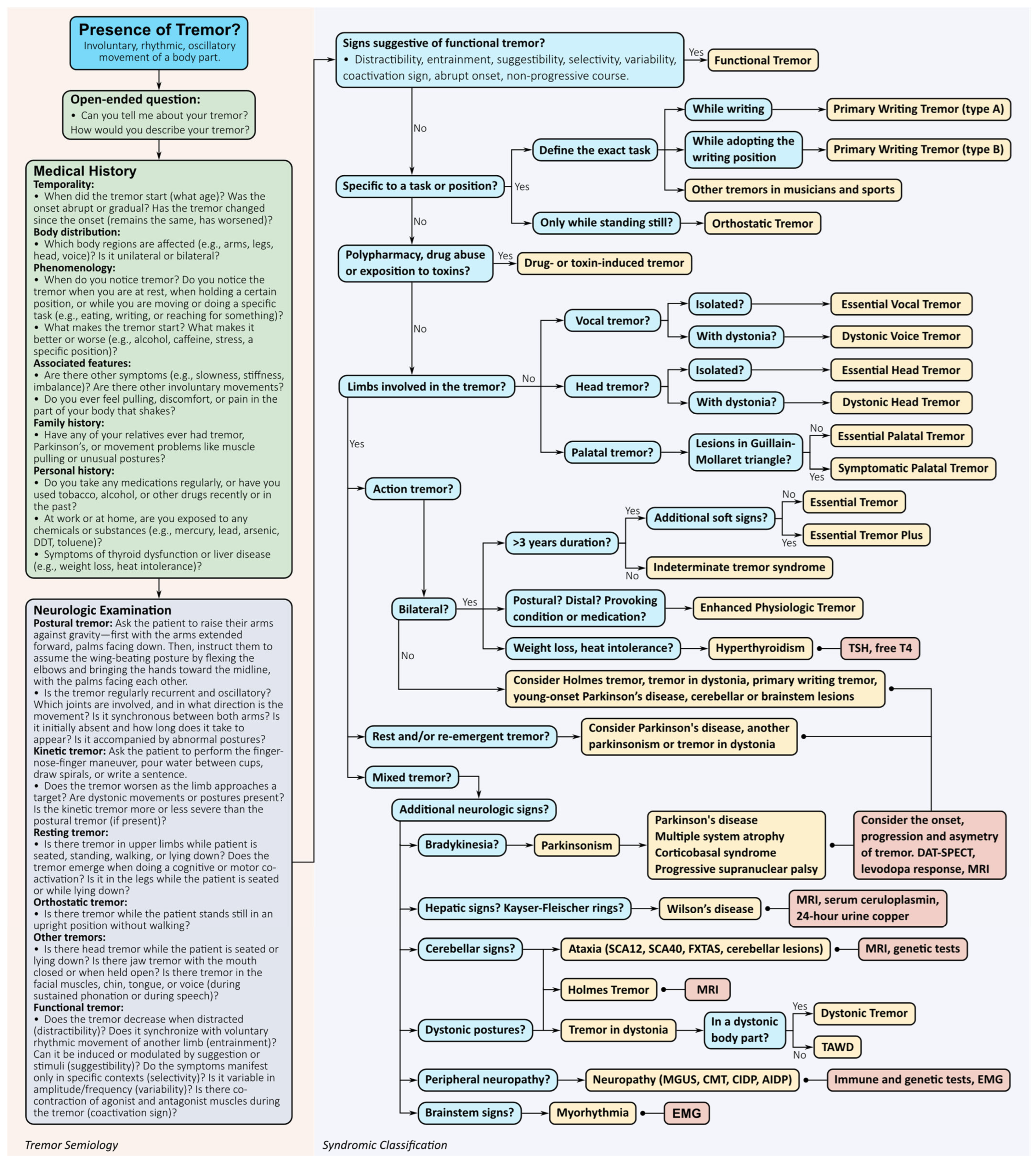 Tremor: Clinical Frameworks, Network Dysfunction and Therapeutics | MDPI