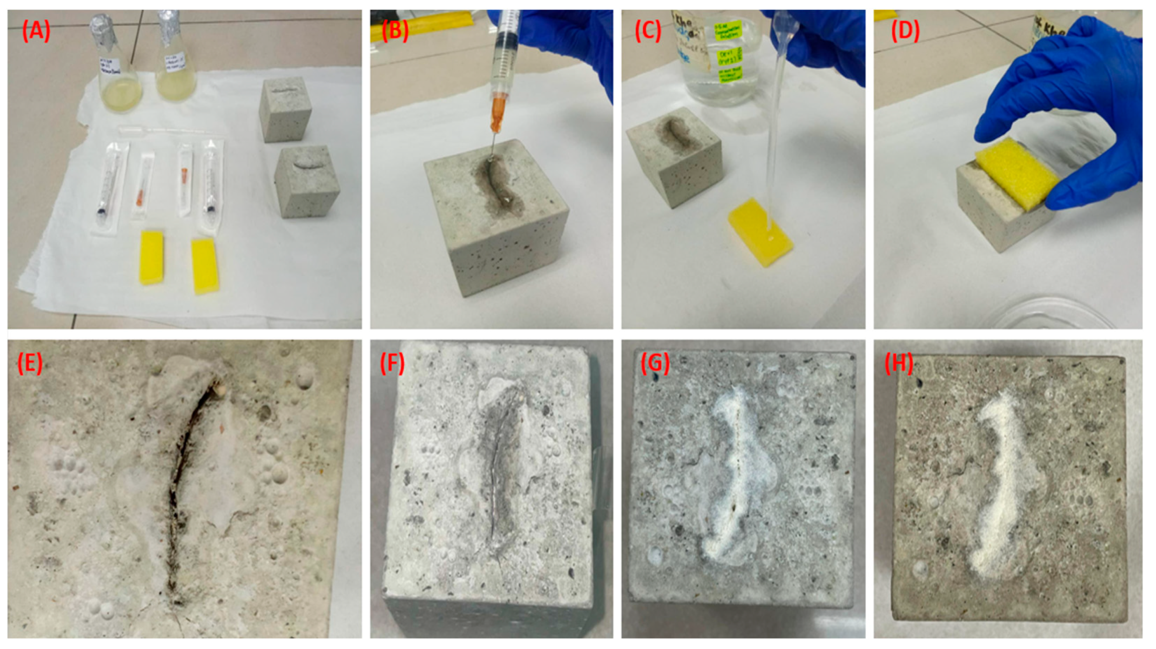 Bio-Based Solutions for Concrete Infrastructure: A Review of Microbial ...