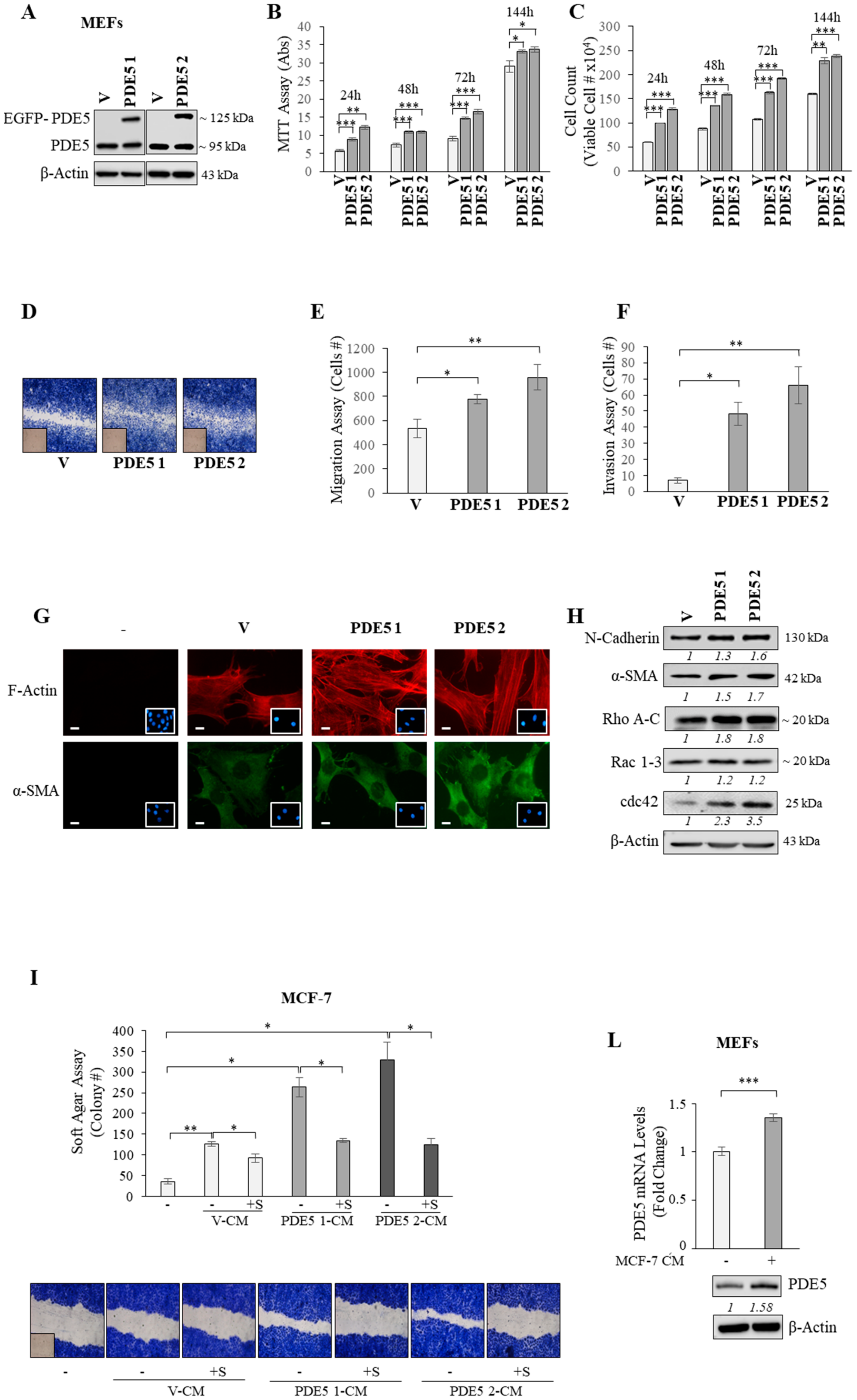 Phosphodiesterase 5 (PDE5) Is Highly Expressed in Cancer-Associated ...