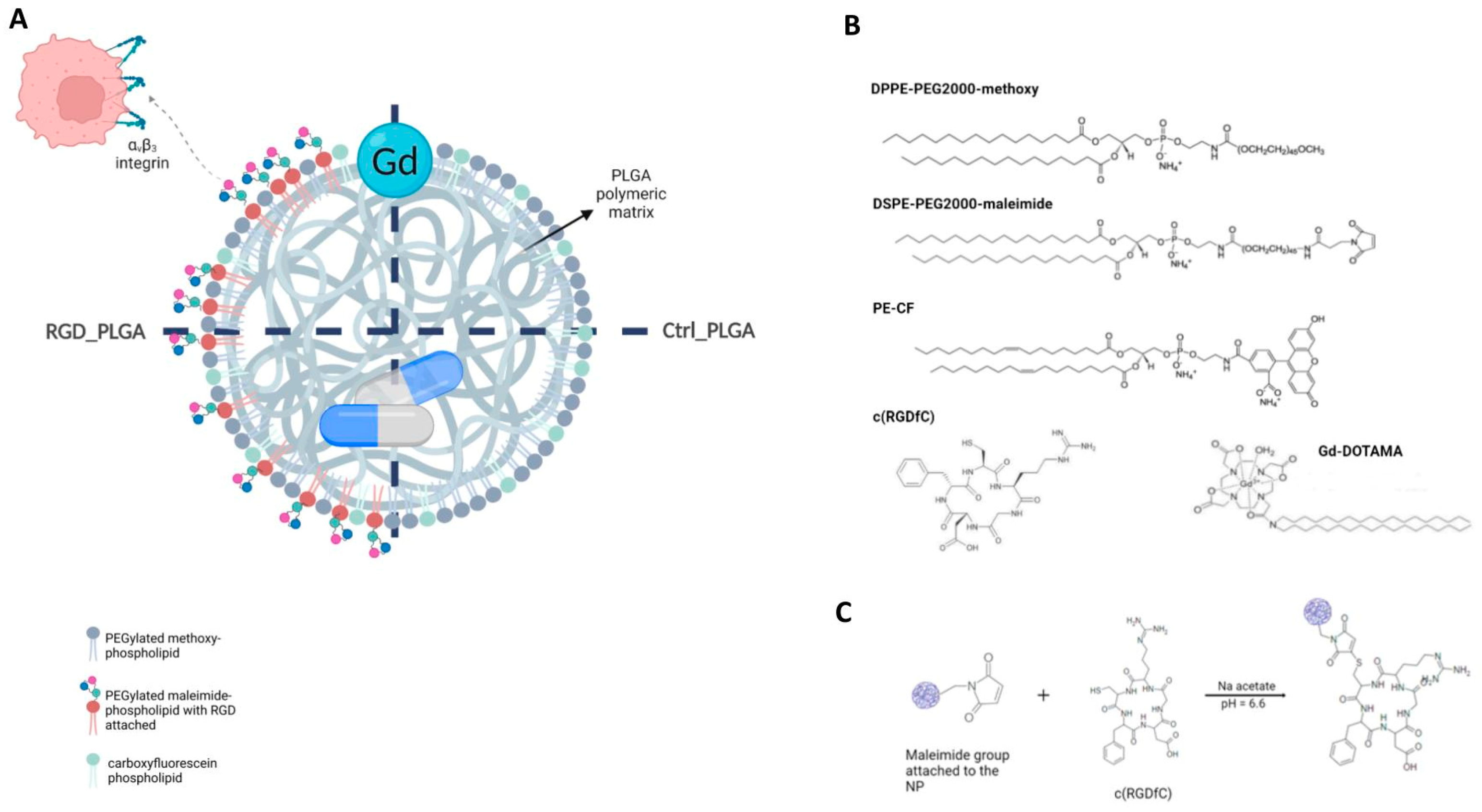 RGD_PLGA Nanoparticles with Docetaxel: A Route for Improving Drug ...
