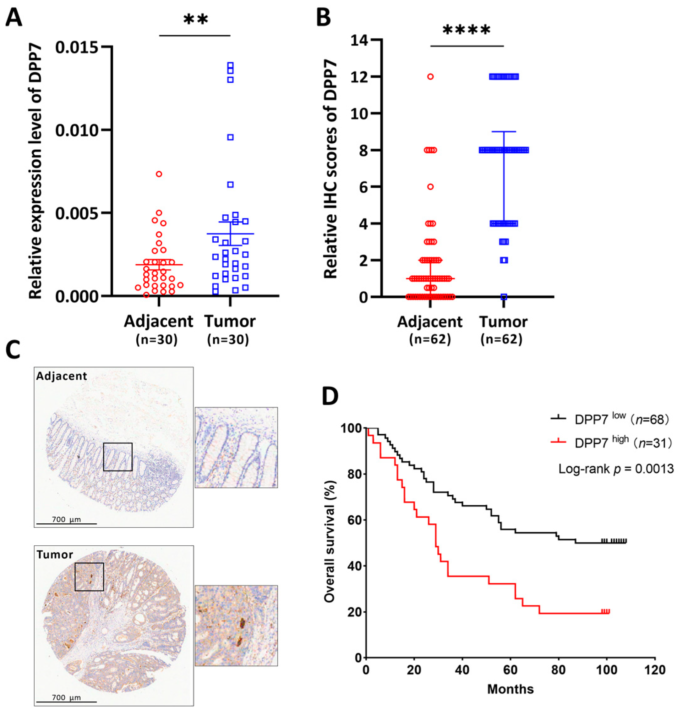 Integrated Analysis Identifies DPP7 as a Prognostic Biomarker in ...