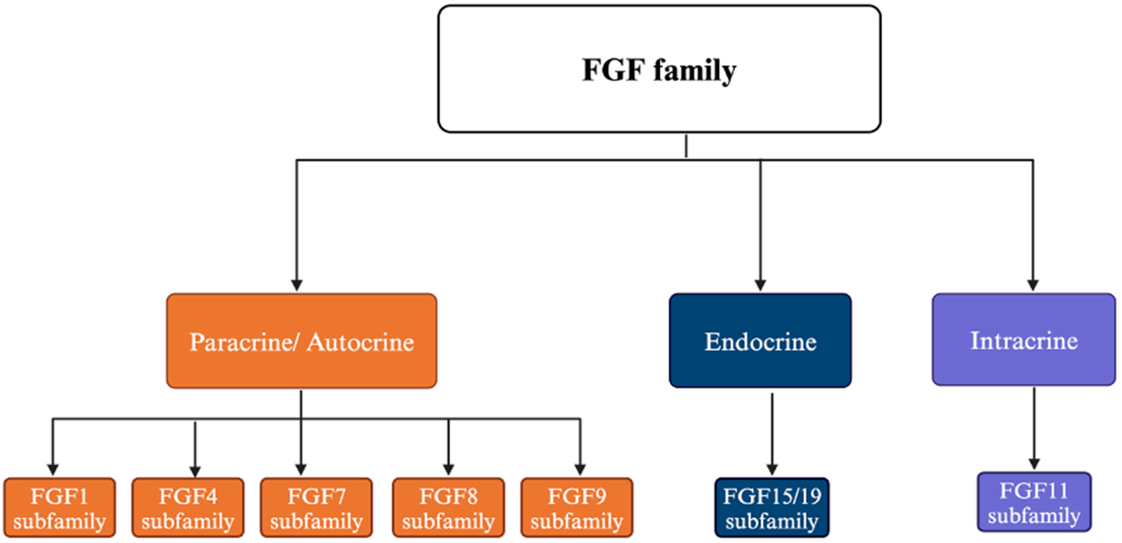 The Complexity and Significance of Fibroblast Growth Factor (FGF ...