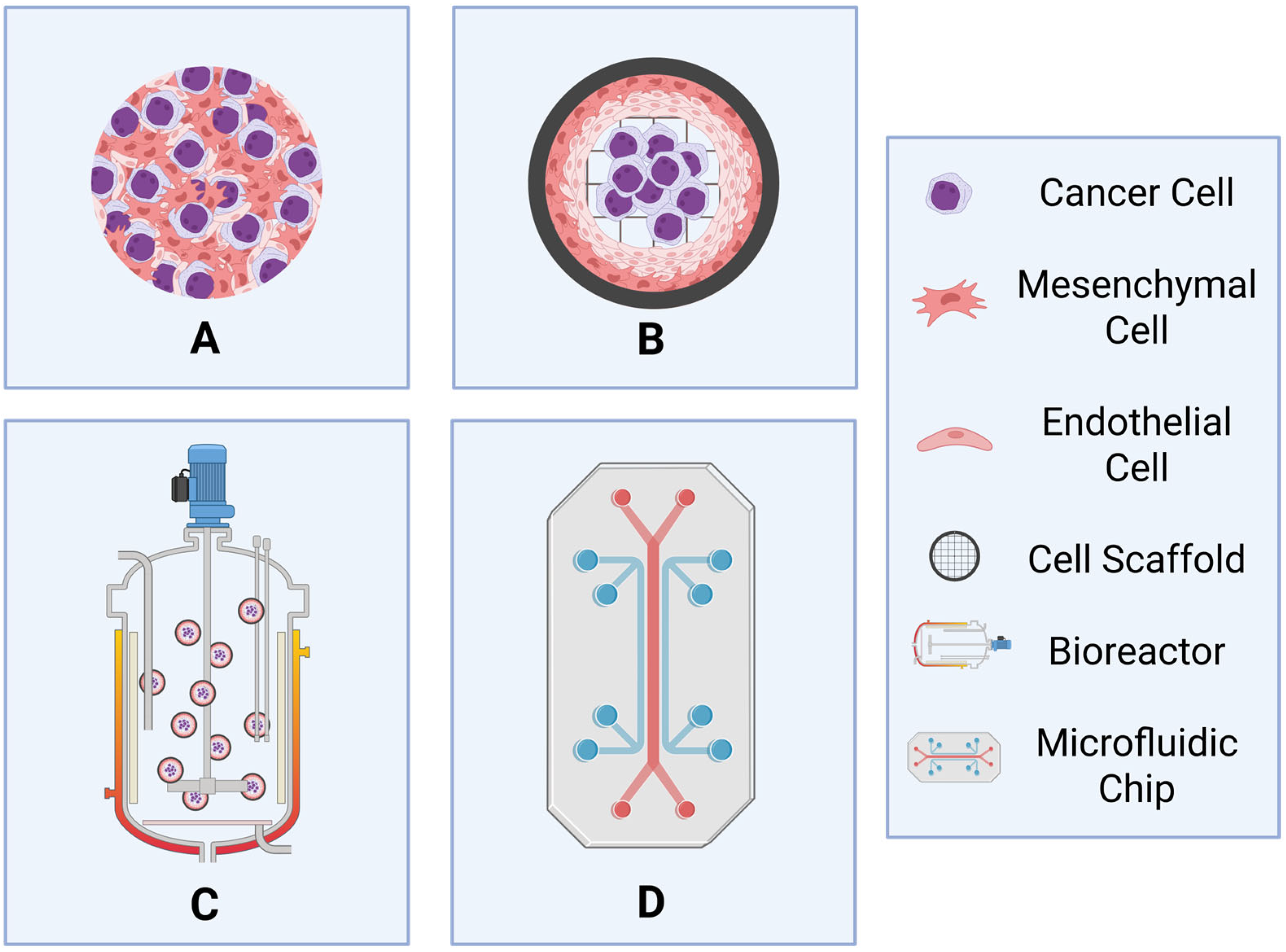 Modeling the Bone Marrow Microenvironment to Better Understand the ...