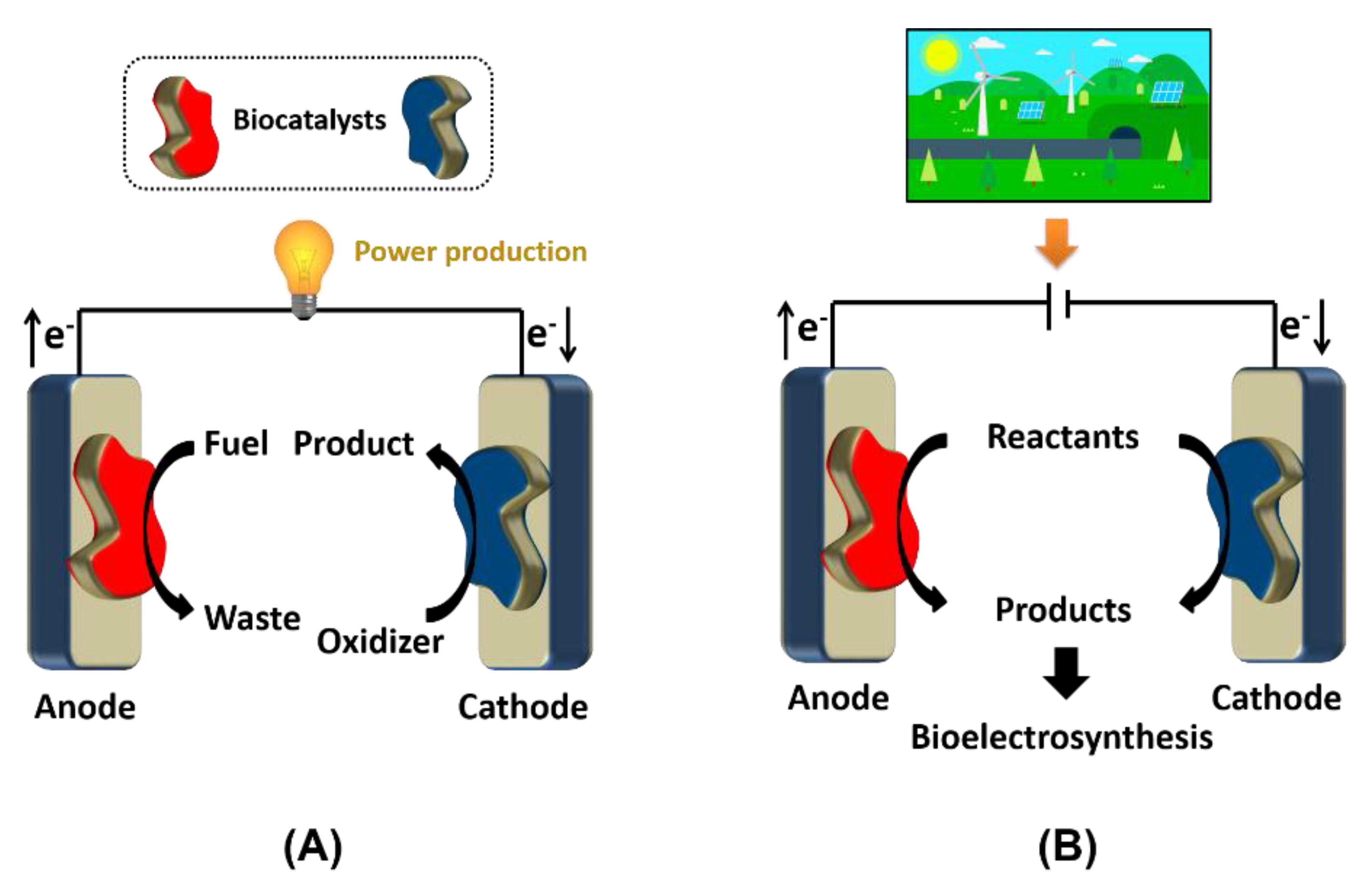 Status Update on Bioelectrochemical Systems: Prospects for Carbon ...