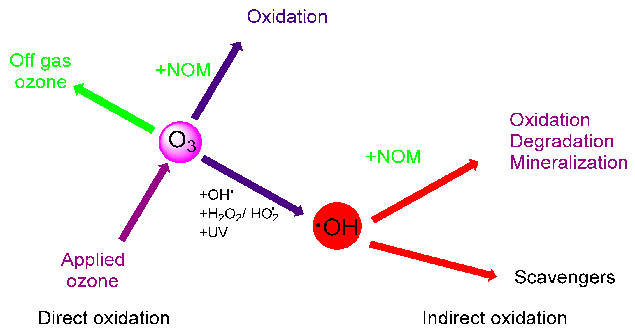 Recent Progress in Catalytically Driven Advanced Oxidation Processes ...