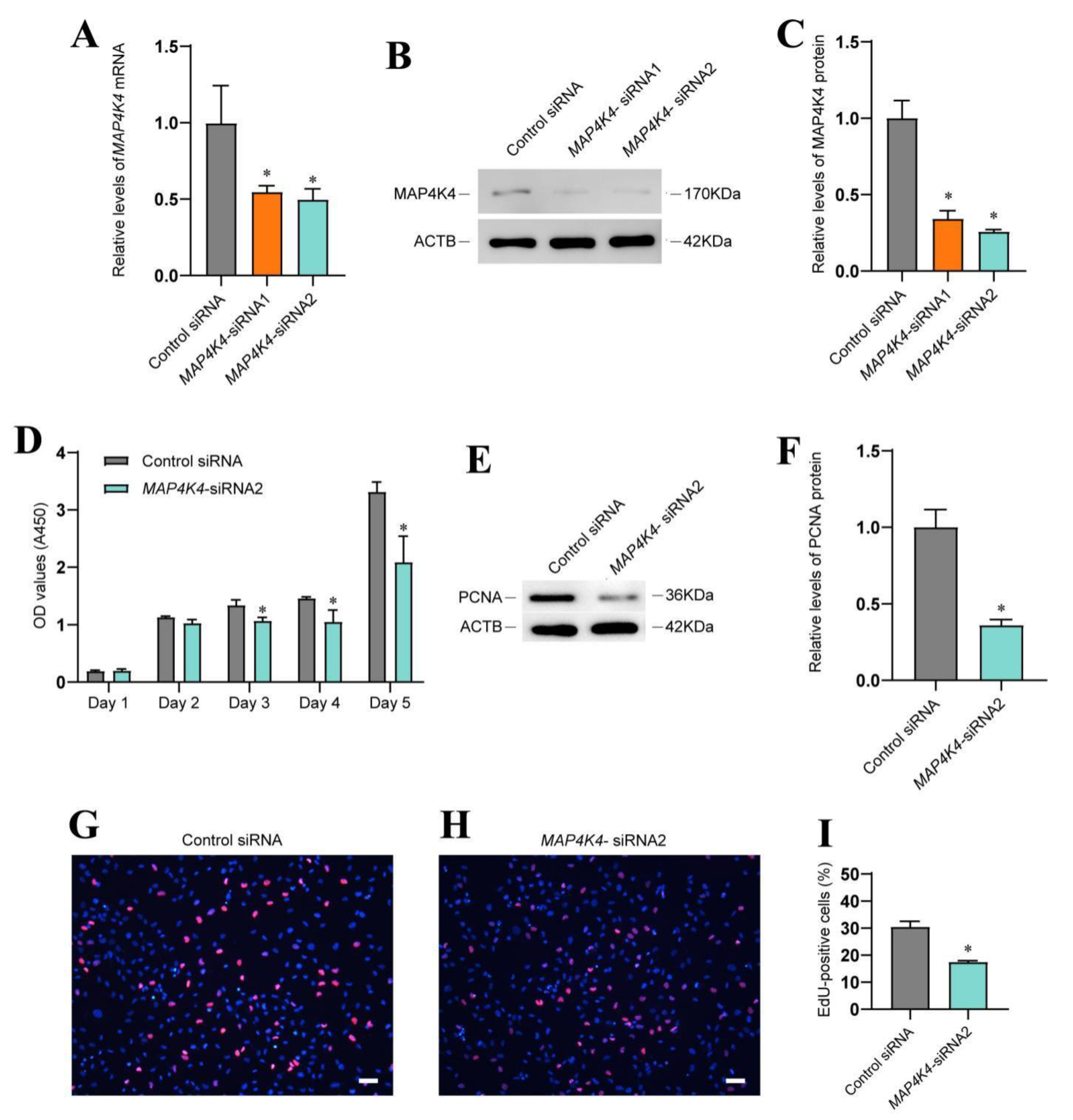 MAP4K4/JNK Signaling Pathway Stimulates Proliferation and Suppresses ...