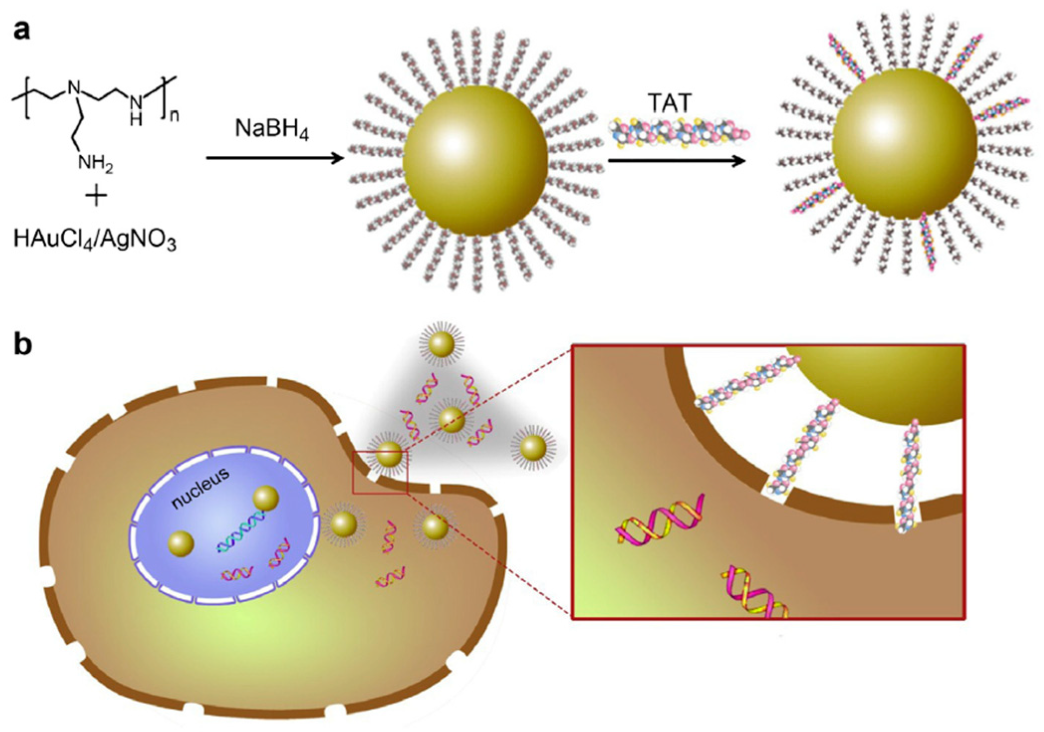 Nuclear Delivery of Nanoparticle-Based Drug Delivery Systems by Nuclear ...