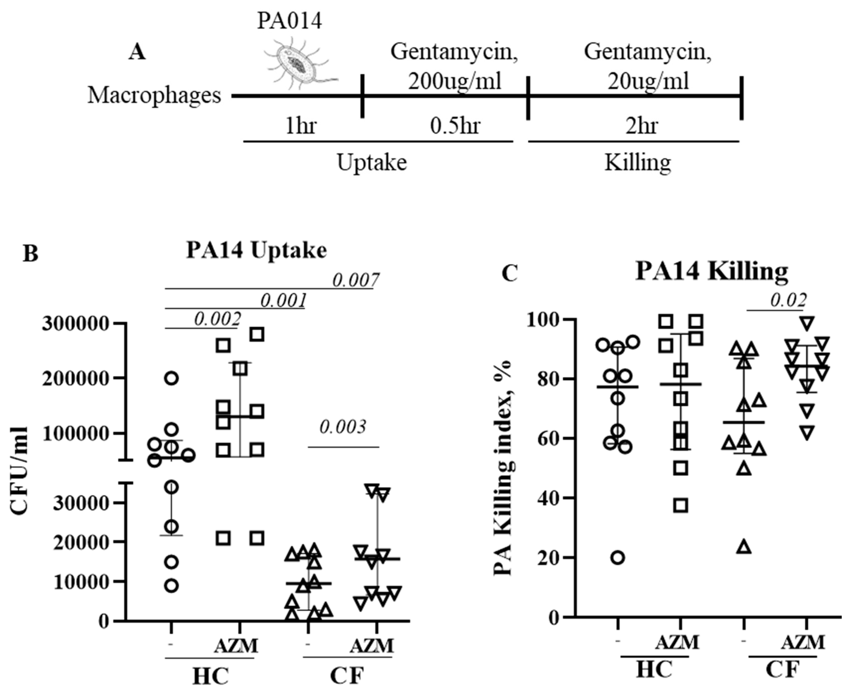 Azithromycin Augments Bacterial Uptake and Anti-Inflammatory Macrophage ...