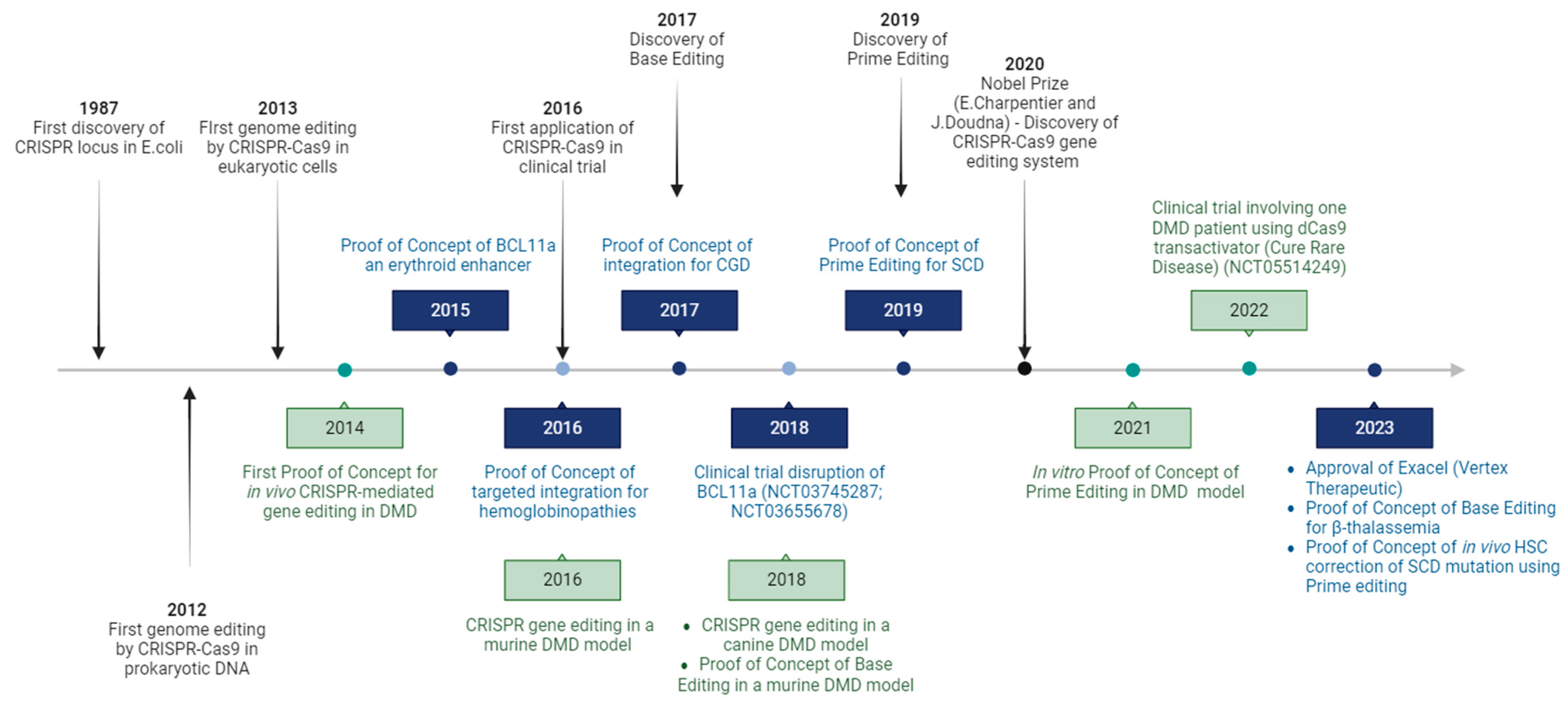 CRISPR-Based Gene Therapies: From Preclinical to Clinical Treatments | MDPI