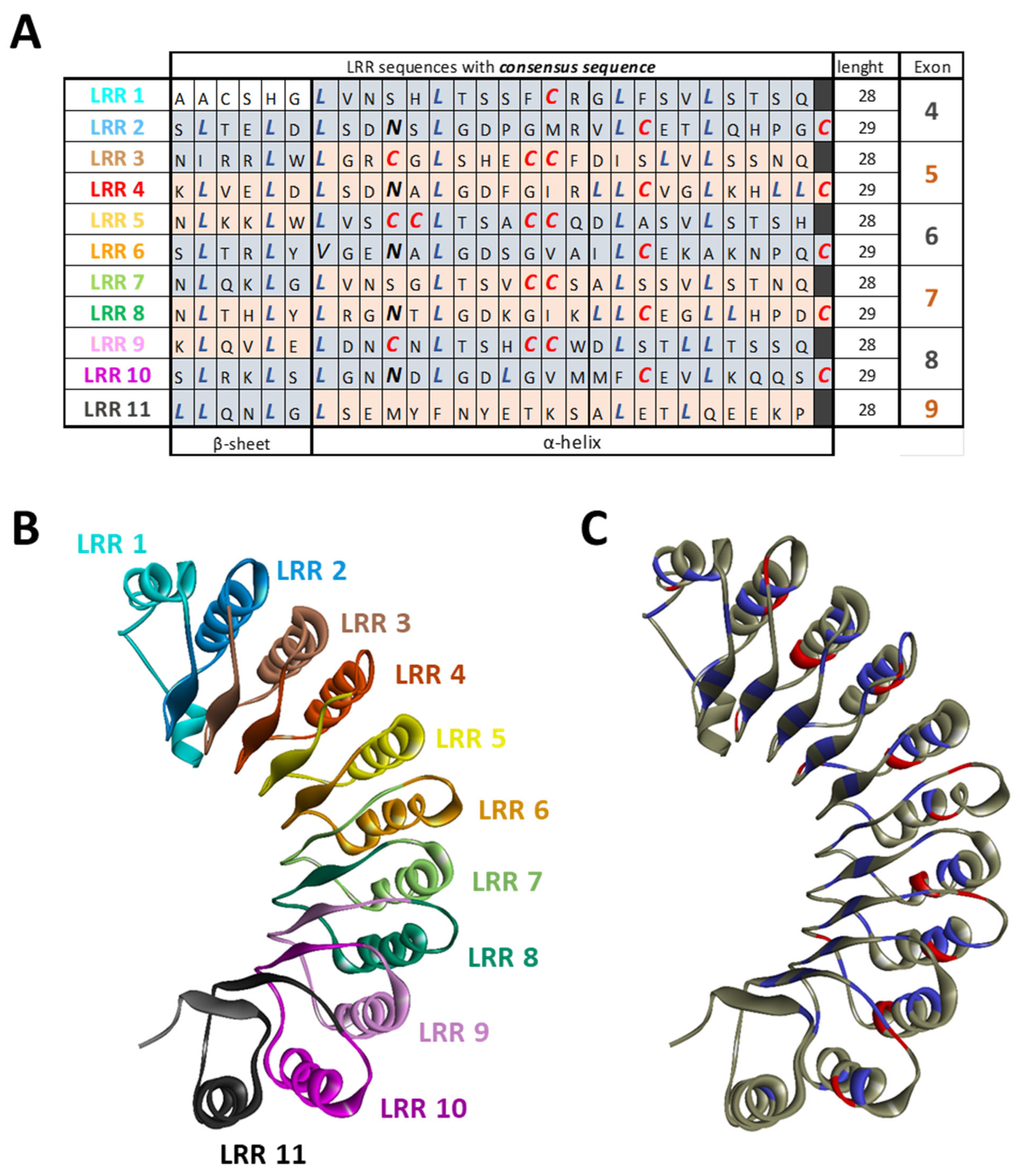 Implication of the LRR Domain in the Regulation and Activation of the ...