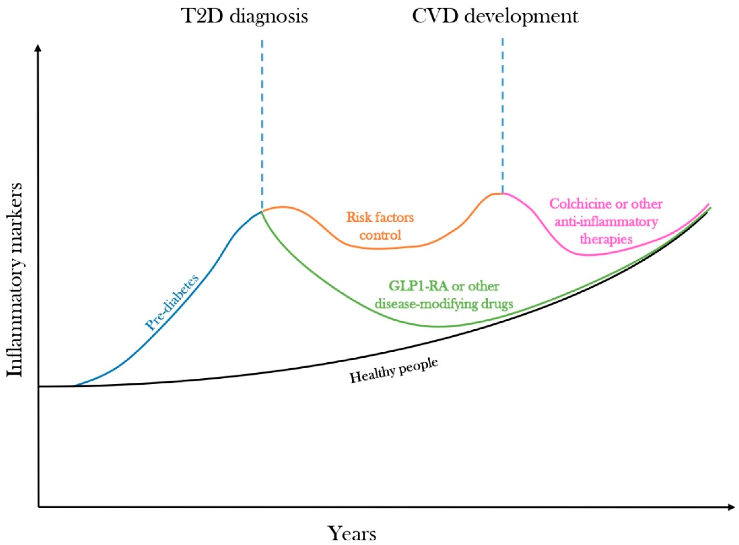 Inflammatory Trajectory of Type 2 Diabetes: Novel Opportunities for ...