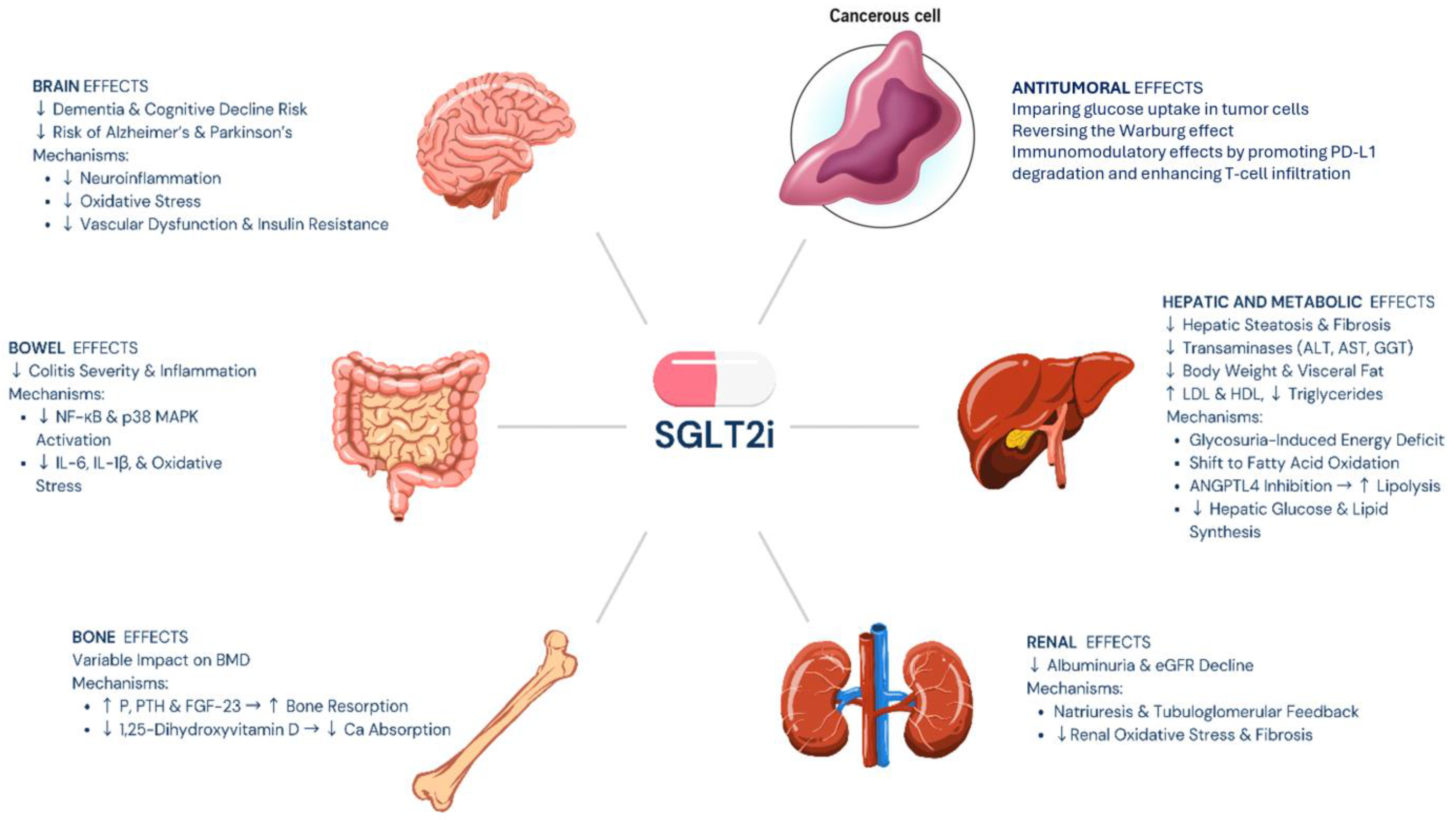 Expanding the Use of SGLT2 Inhibitors in T2D Patients Across Clinical ...