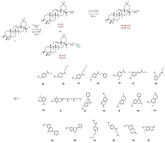 New Derivatives of Oleanolic Acid: Semi-Synthesis and Evaluation of ...