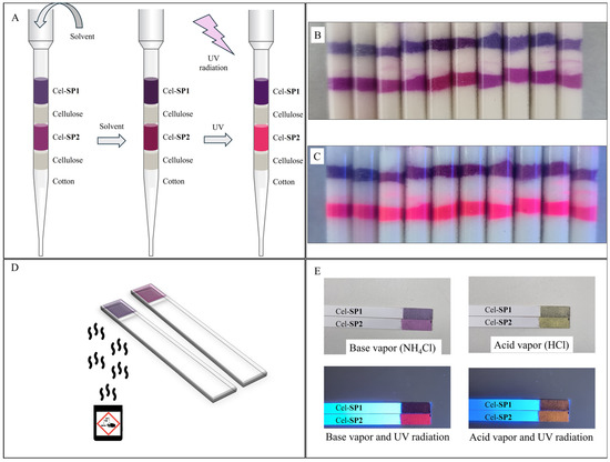 Spiropyran-Modified Cellulose for Dual Solvent and Acid/Base Vapor ...
