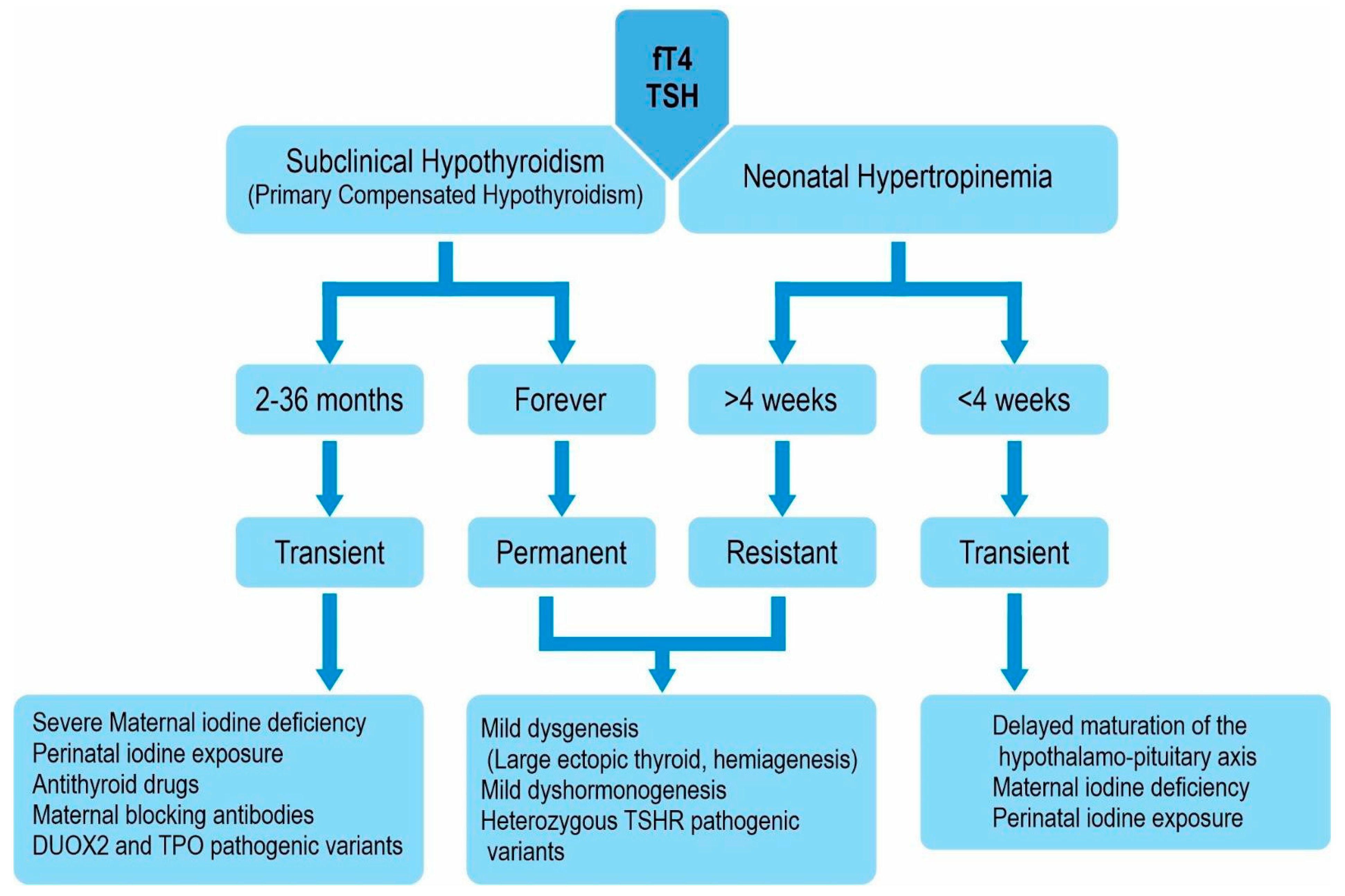 Clinical Insight into Congenital Hypothyroidism Among Children | MDPI