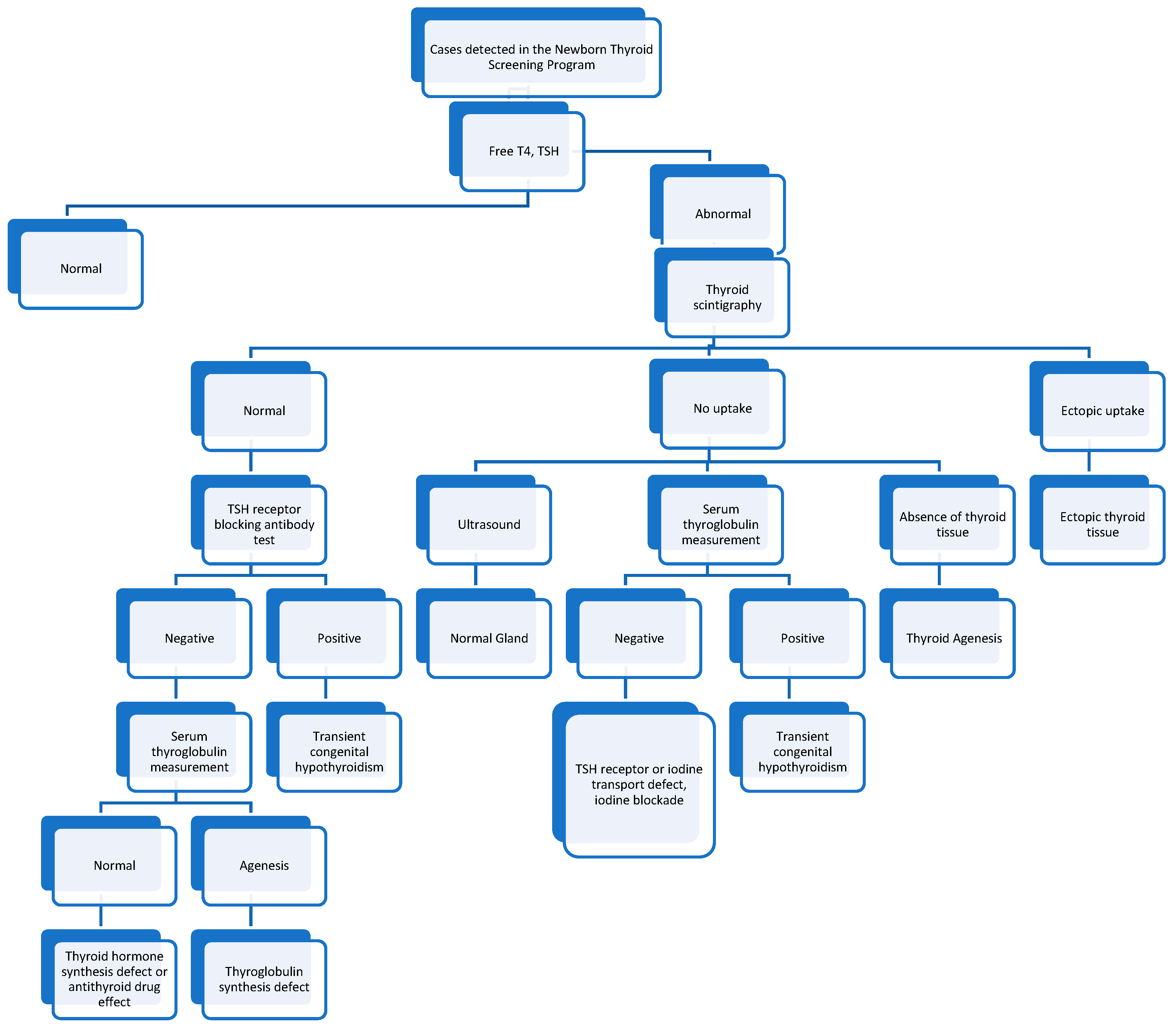 Clinical Insight into Congenital Hypothyroidism Among Children | MDPI