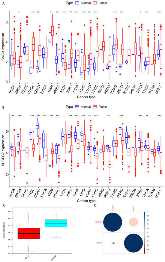 Metabolism-Related Genes SMOX and SUCLG2 as Immunological and ...