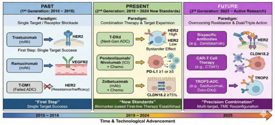 Antibody-Mediated Therapy in Gastric Cancer: Past, Present, and Future ...