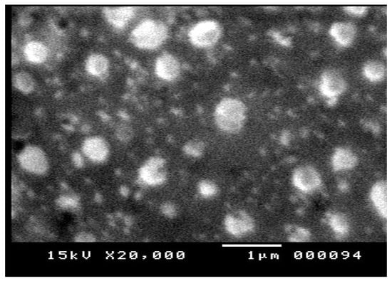 Antidiabetic Potential of Sea Urchin Tripneustes gratilla ...