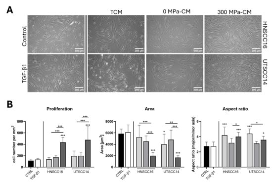 Oncological Safety of High Hydrostatic Pressure Treatment: Effects on ...