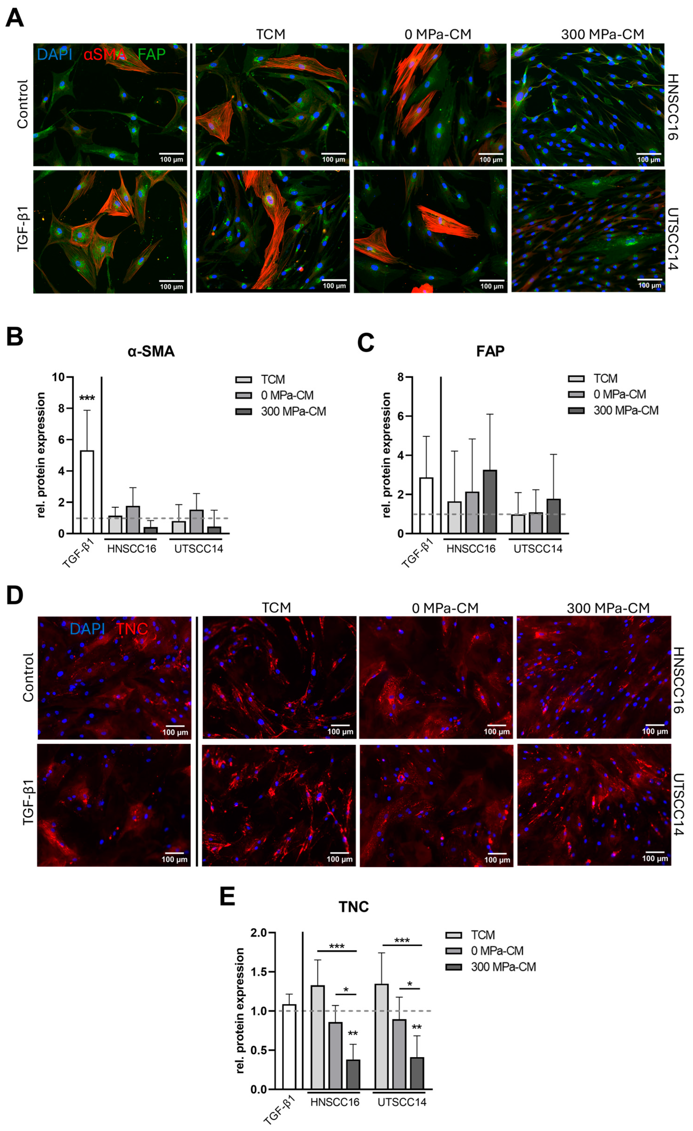 Oncological Safety of High Hydrostatic Pressure Treatment: Effects on ...