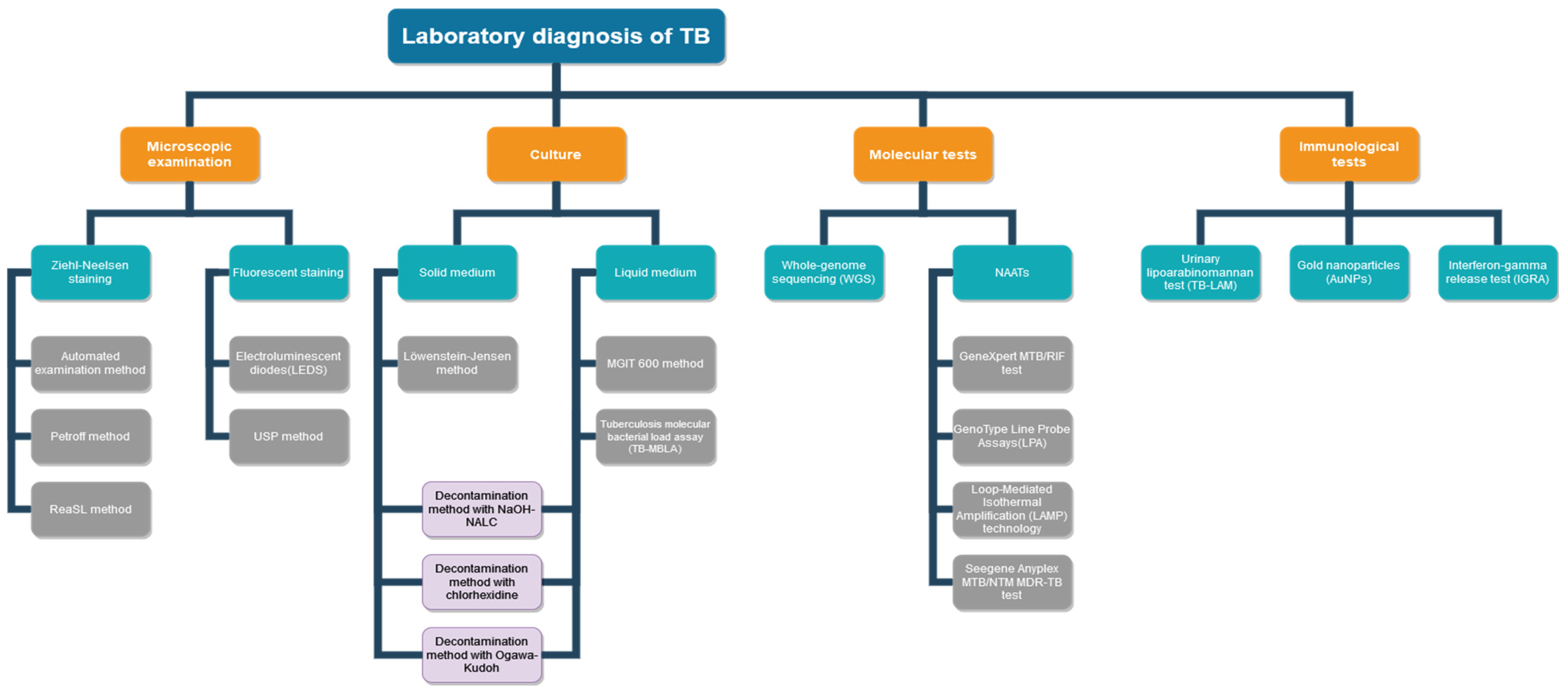 Evolution of Laboratory Diagnosis of Tuberculosis | MDPI