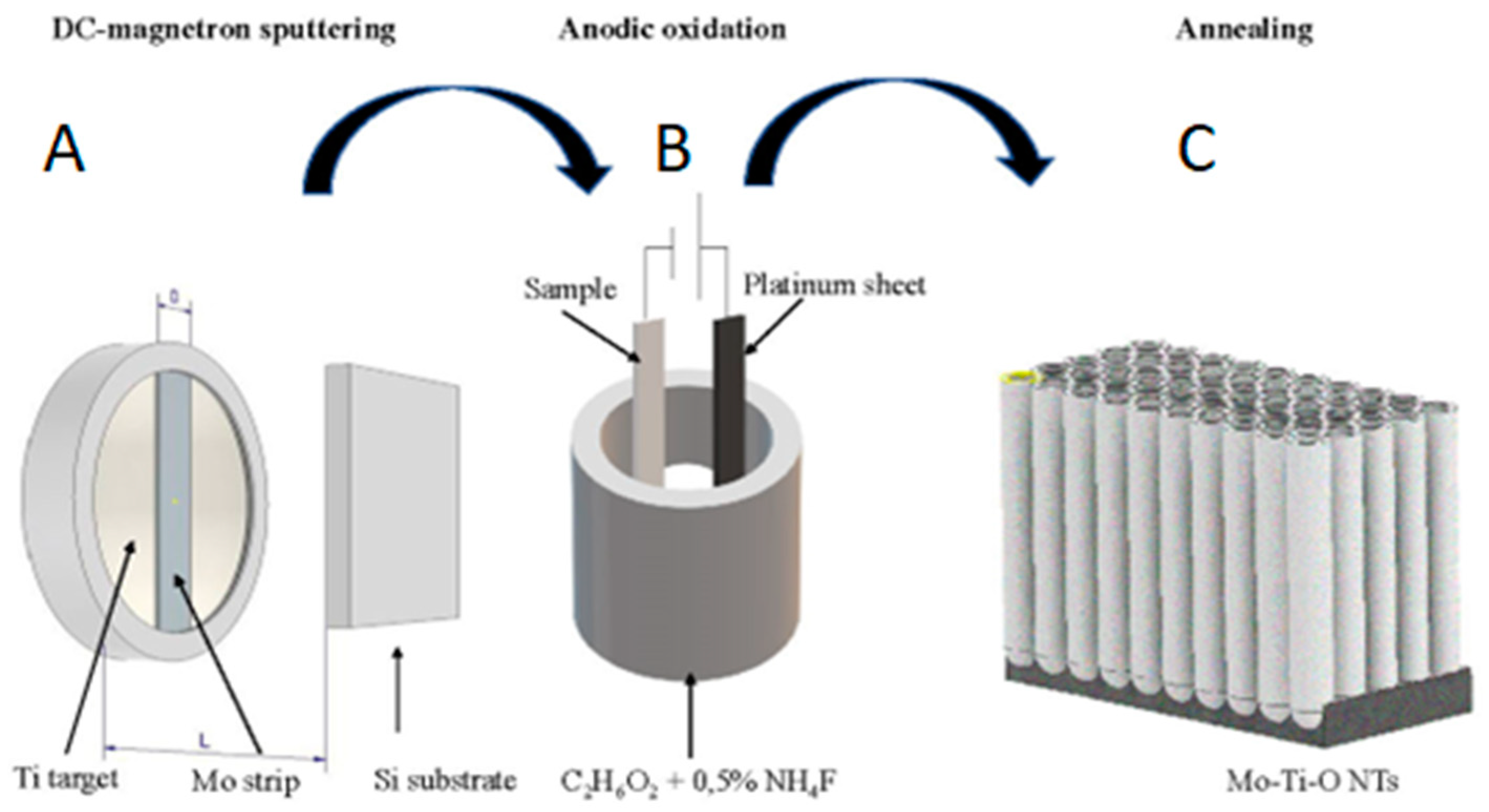Ti-Mo-O Nanotube Arrays Grown by Anodization of Magnetron Sputtered ...