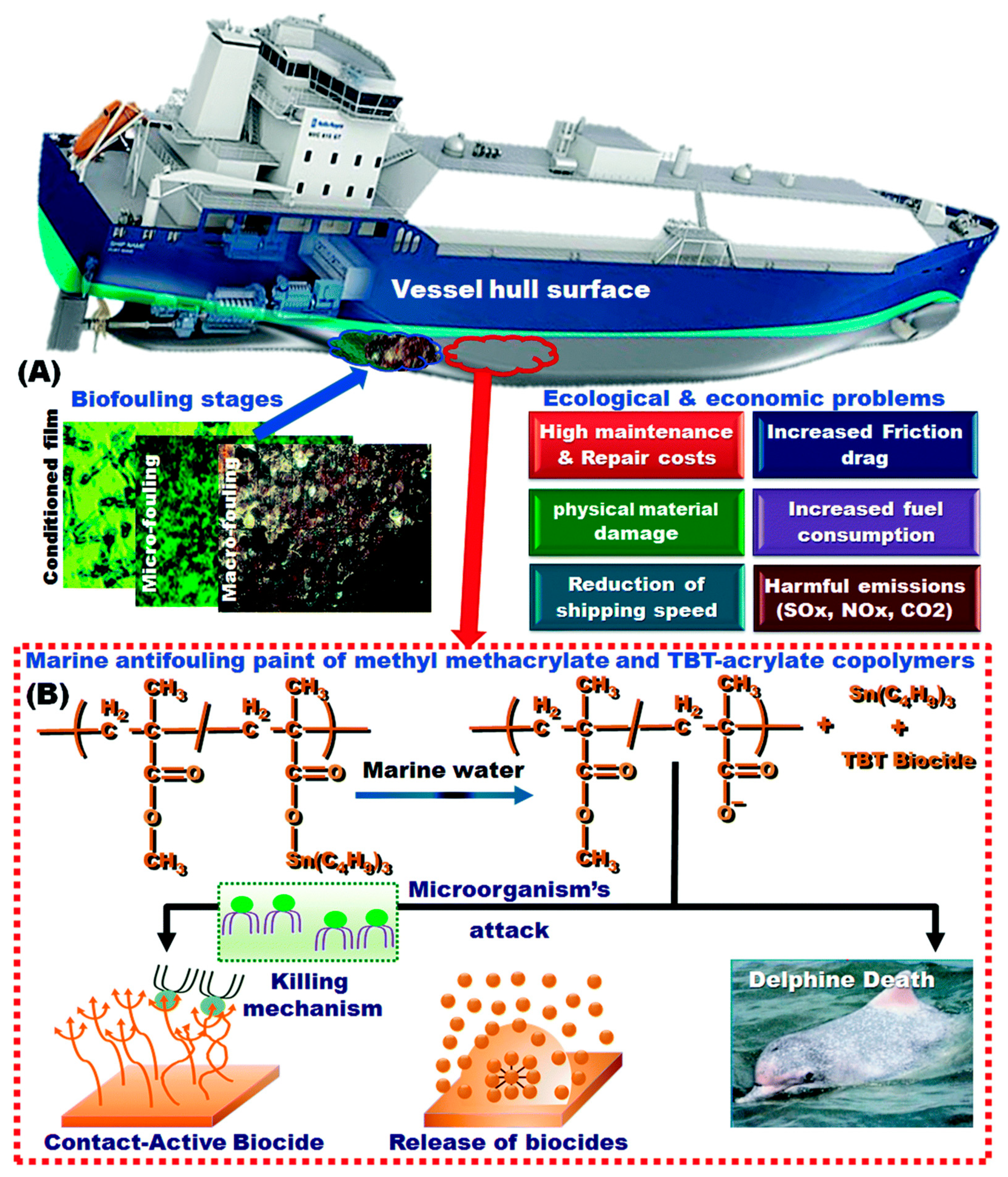 Progress in Marine Antifouling Coatings: Current Status and Prospects ...