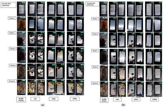 Technologies in Marine Antifouling and Anti-Corrosion Coatings: A ...
