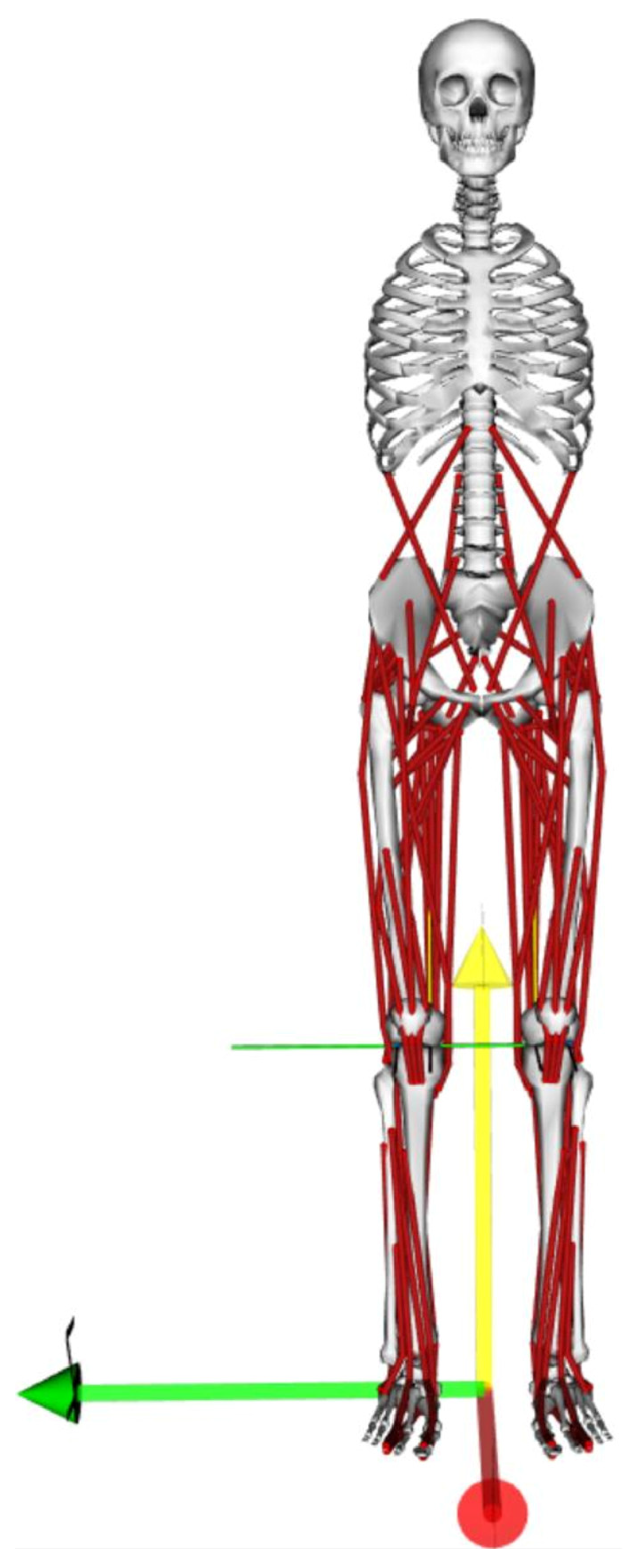 Effects of Running in Minimal, Maximal and Conventional Footwear on ...