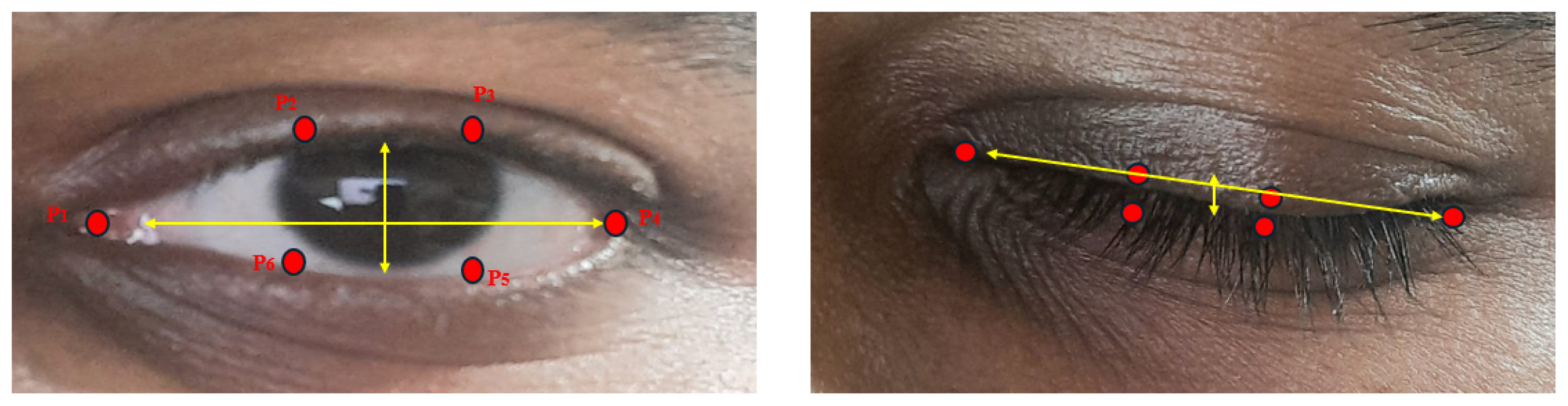 Real-Time Gaze Estimation Using Webcam-Based CNN Models for Human–Computer Interactions | MDPI