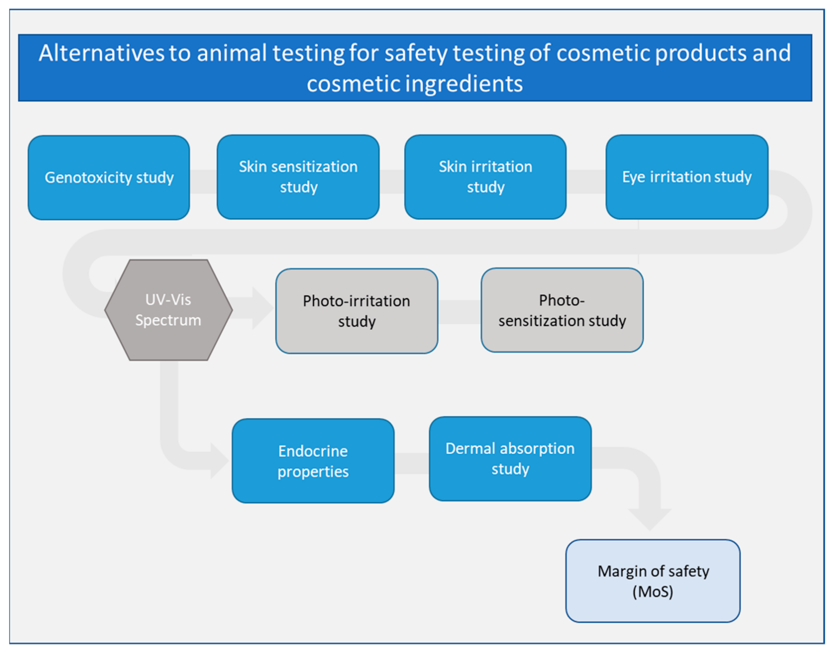 Safety Testing of Cosmetic Products: Overview of Established Methods ...
