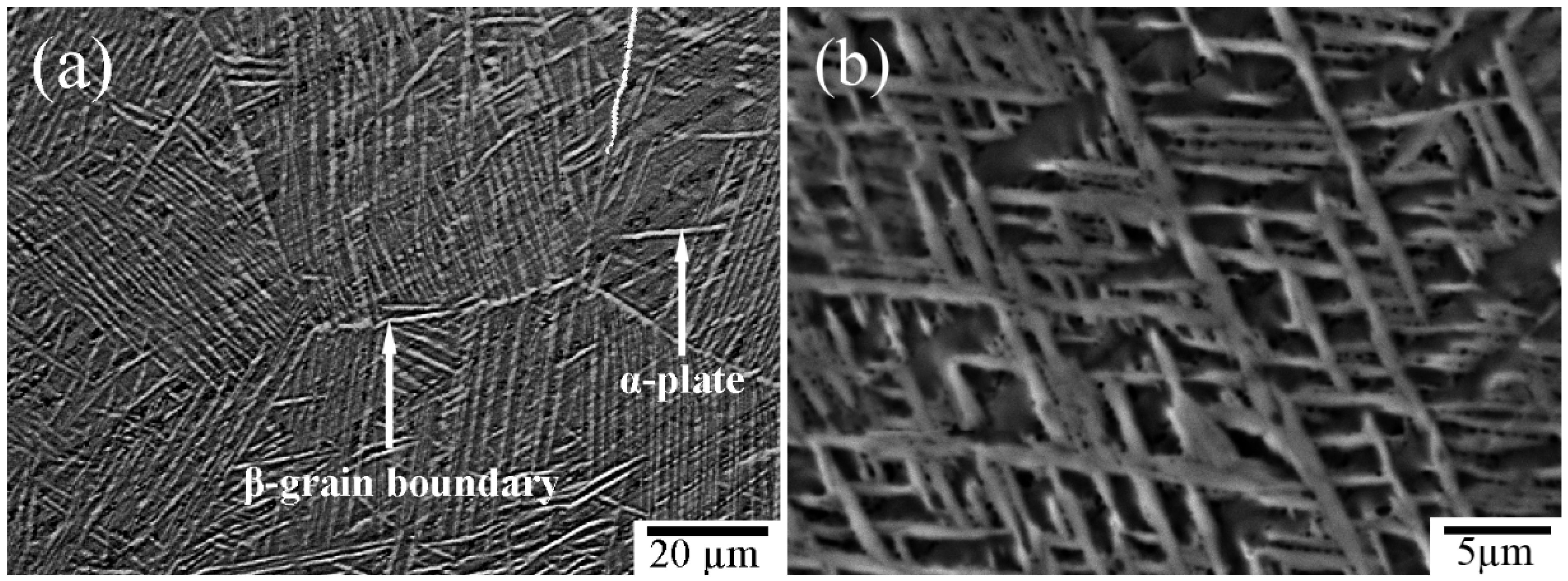 Study of Initial β-Zr Formation in β-Quenched N36 Zirconium Alloy Using ...