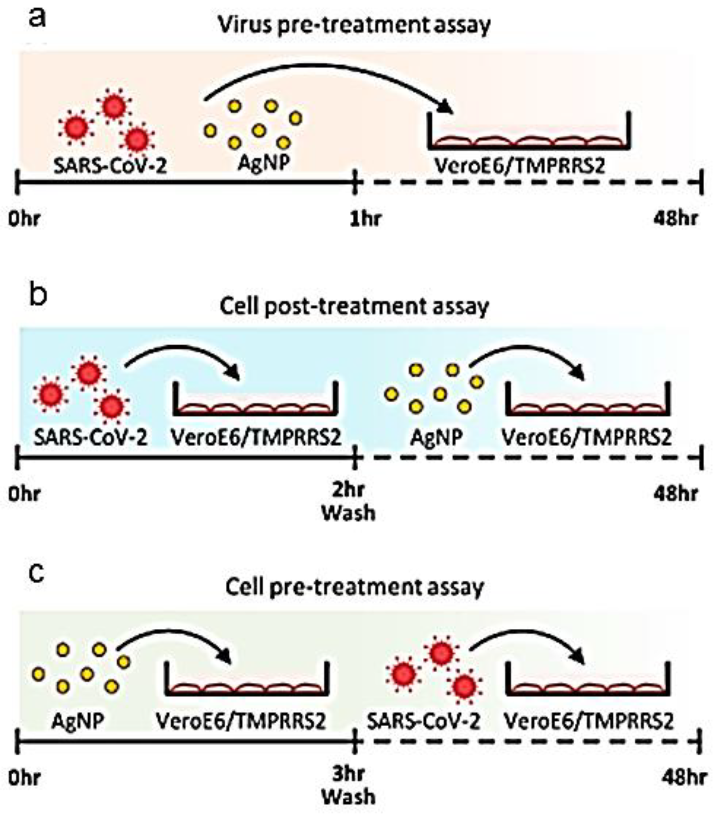 Green Synthesis of Nanoparticles and Their Energy Storage ...