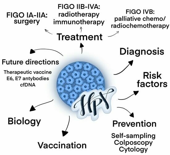 HPV and Cervical Cancer—Biology, Prevention, and Treatment Updates | MDPI