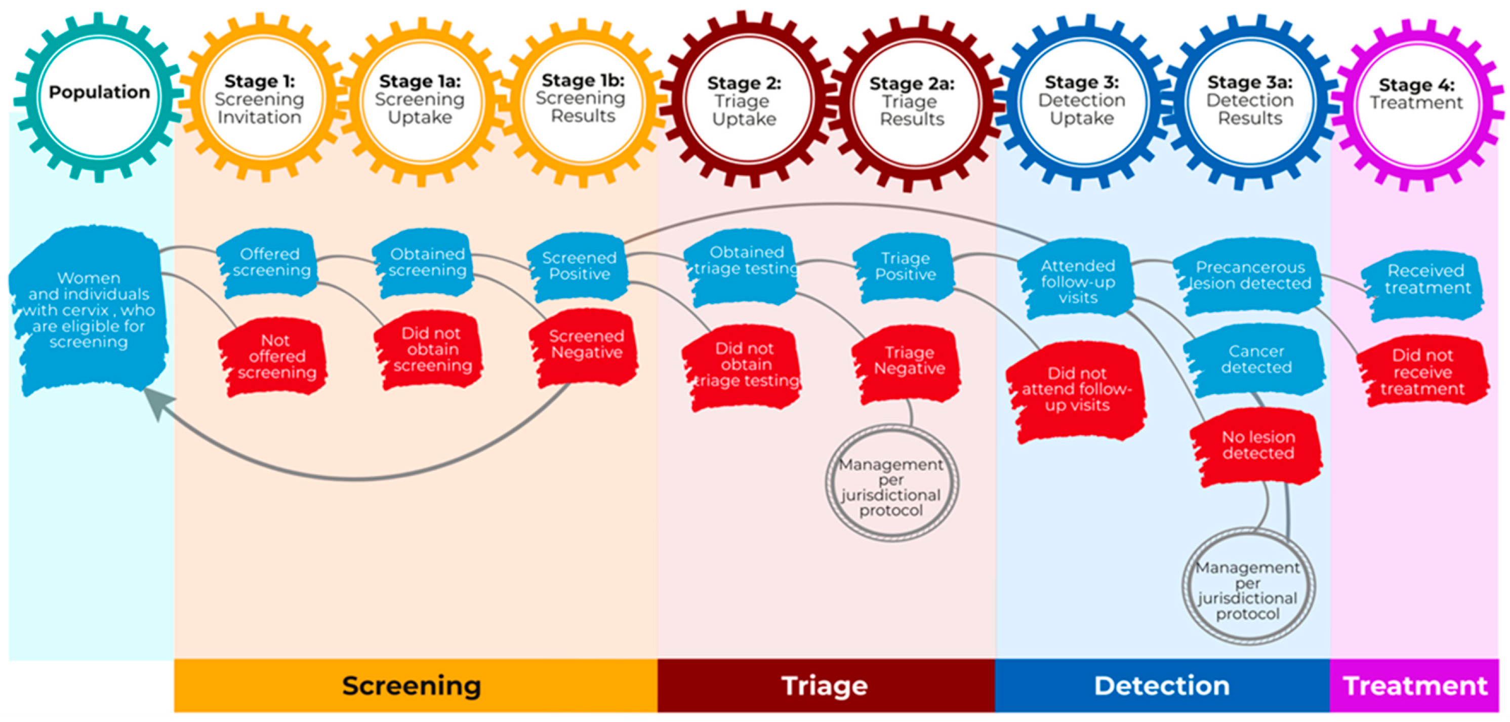 Cervical Cancer Screening Cascade: A Framework for Monitoring Uptake ...