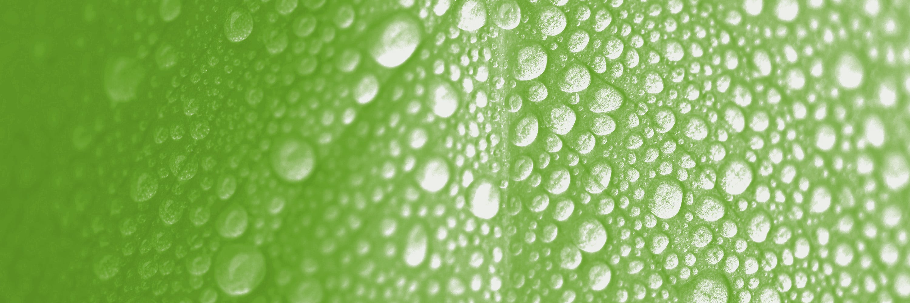 Journal of Phytomedicine | Open Access Journal | MDPI