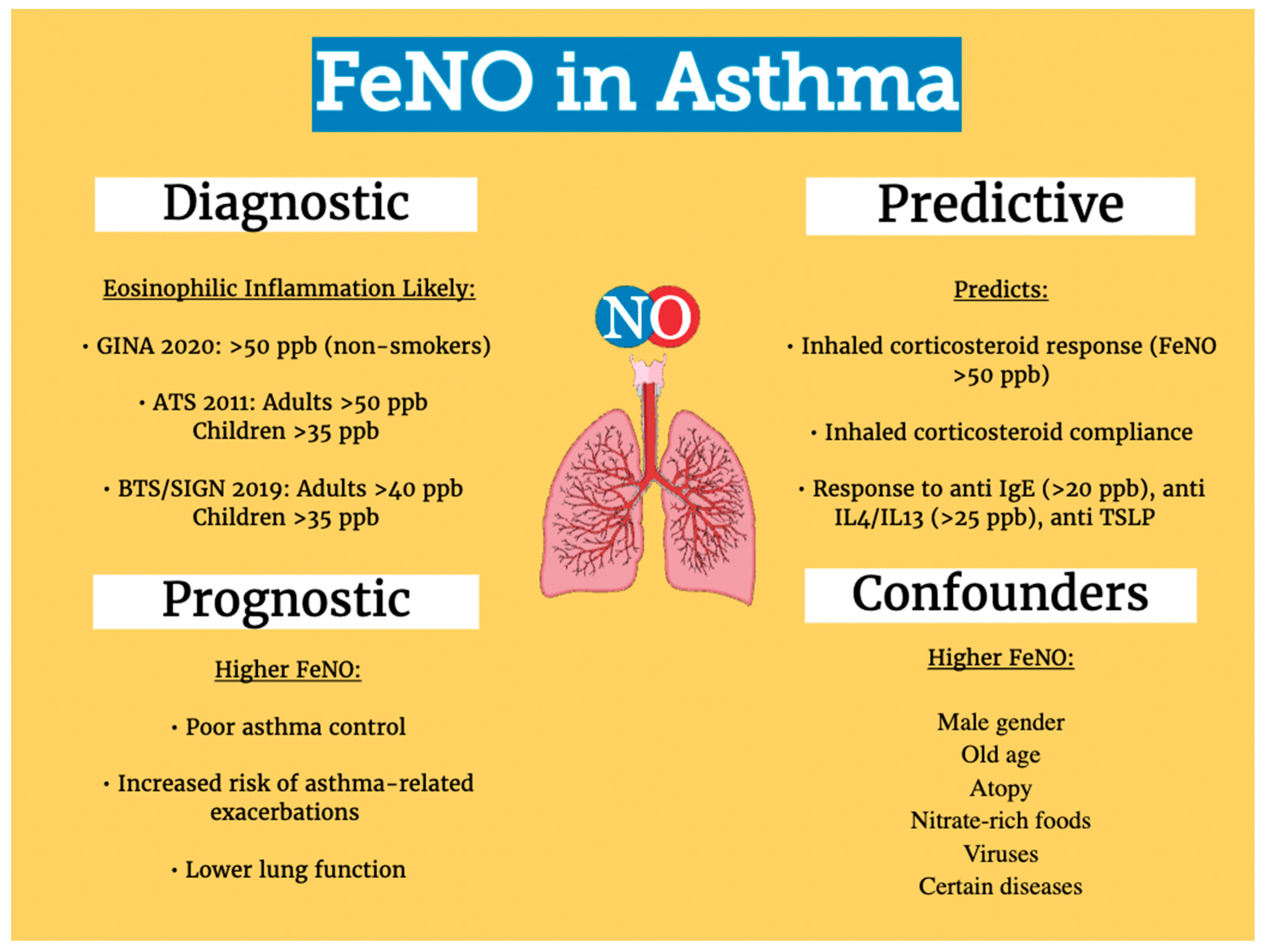 Update on the Role of FeNO in Asthma Management | MDPI