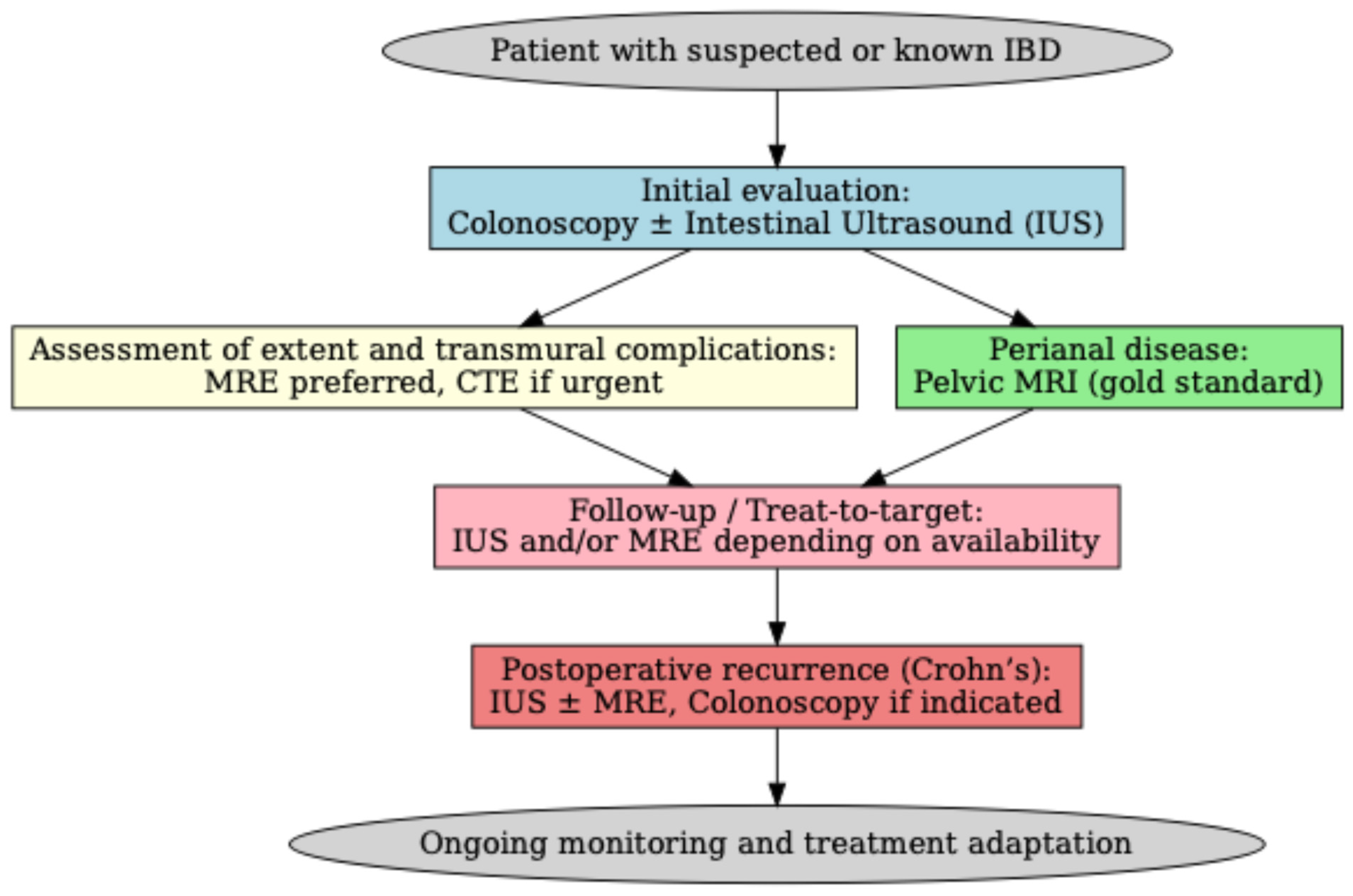 The Role of Imaging in Inflammatory Bowel Diseases: From Diagnosis to ...