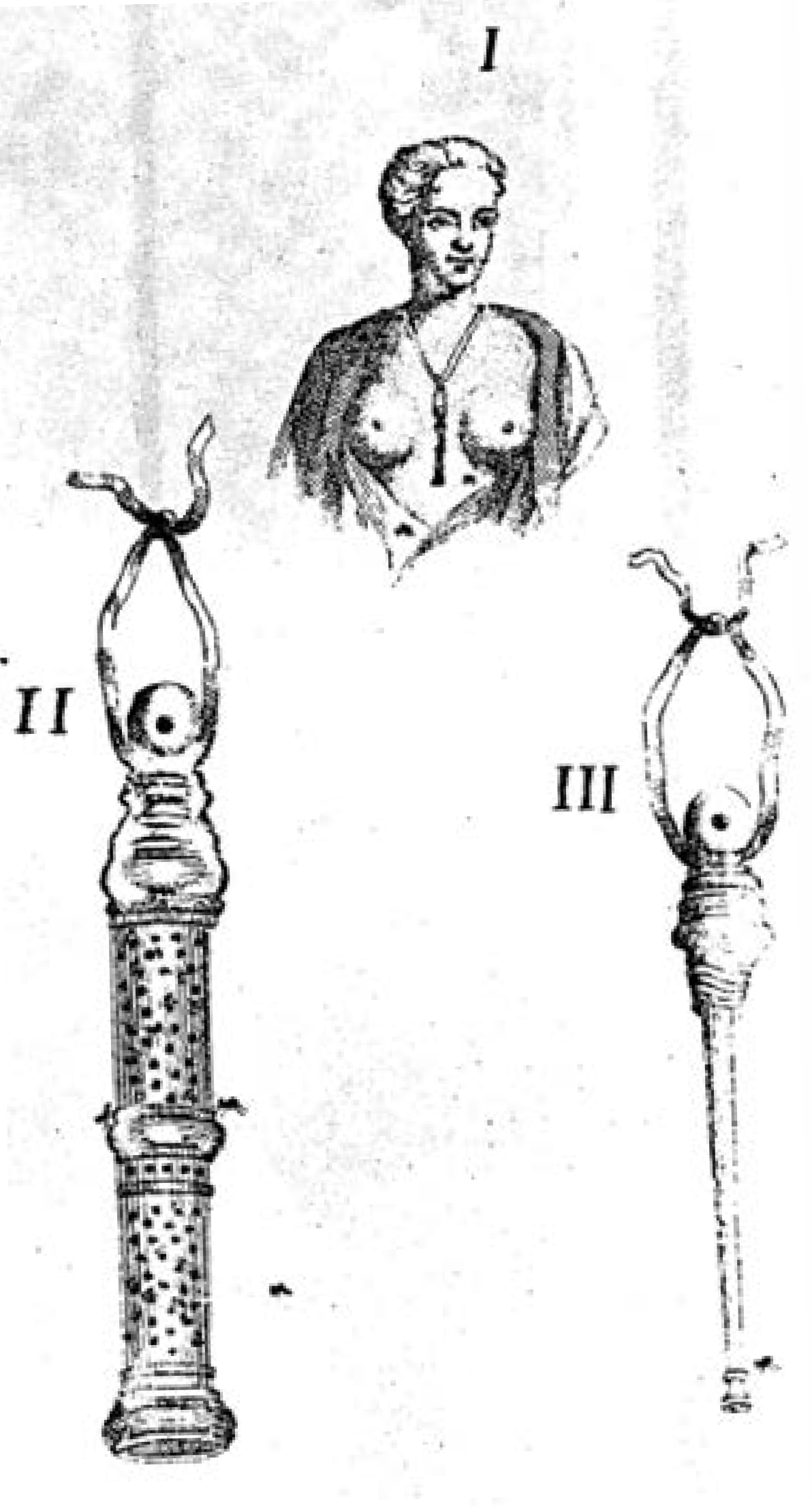 Fleas as Useful Tools for Science | MDPI