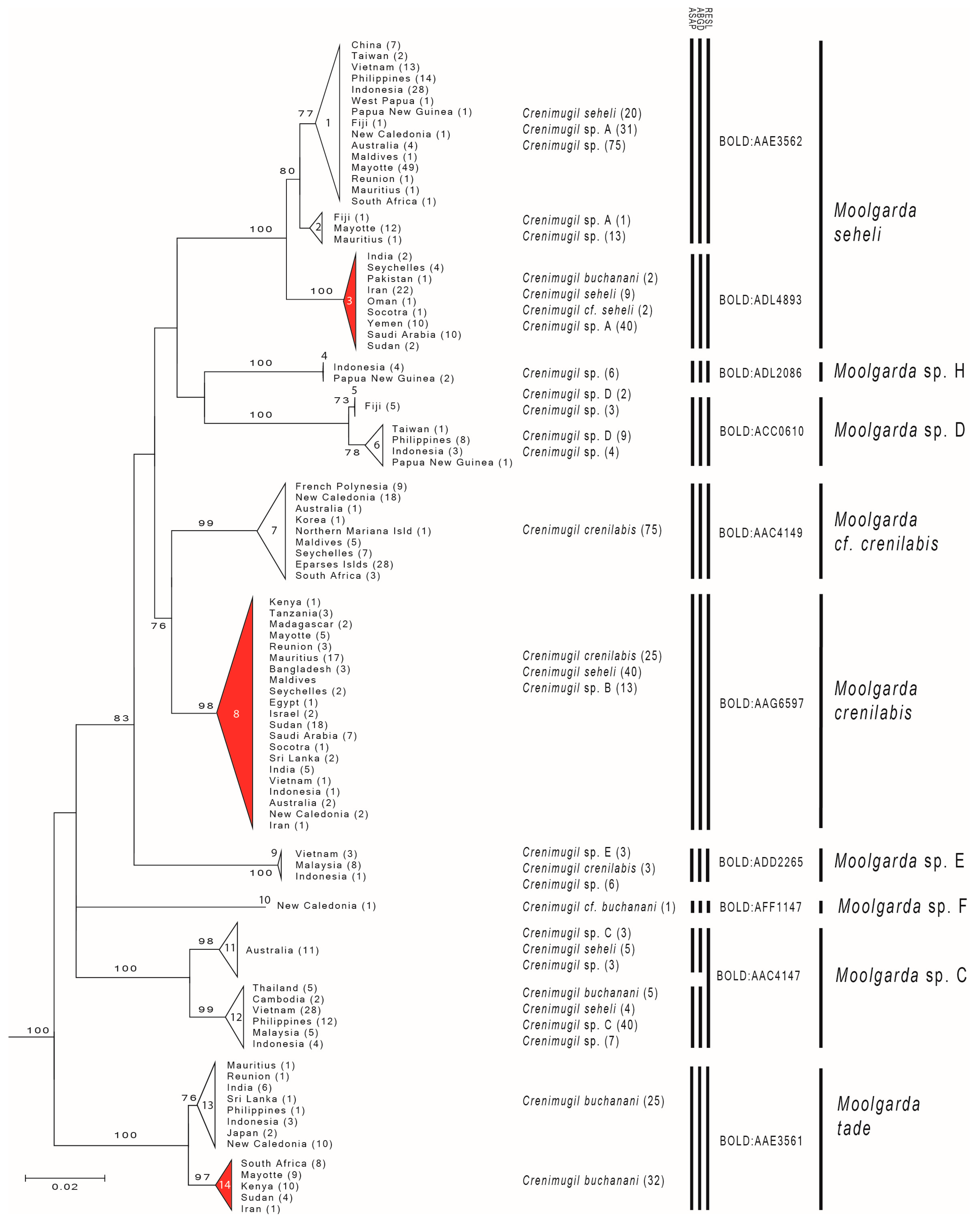 Contributions to the Taxonomy of the Mugilid Genus Moolgarda Whitley ...