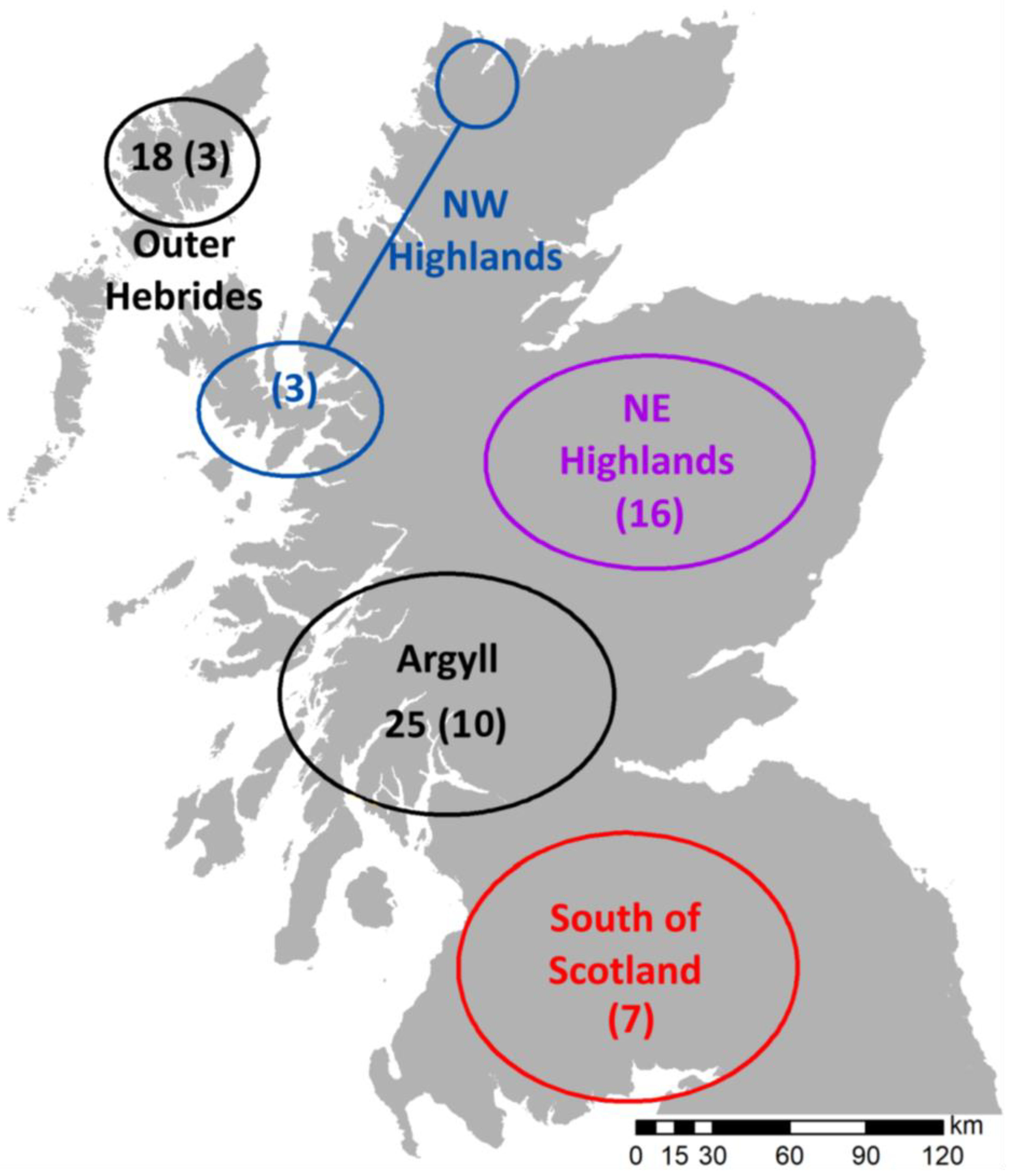 The Characteristics and Variation of the Golden Eagle Aquila chrysaetos ...
