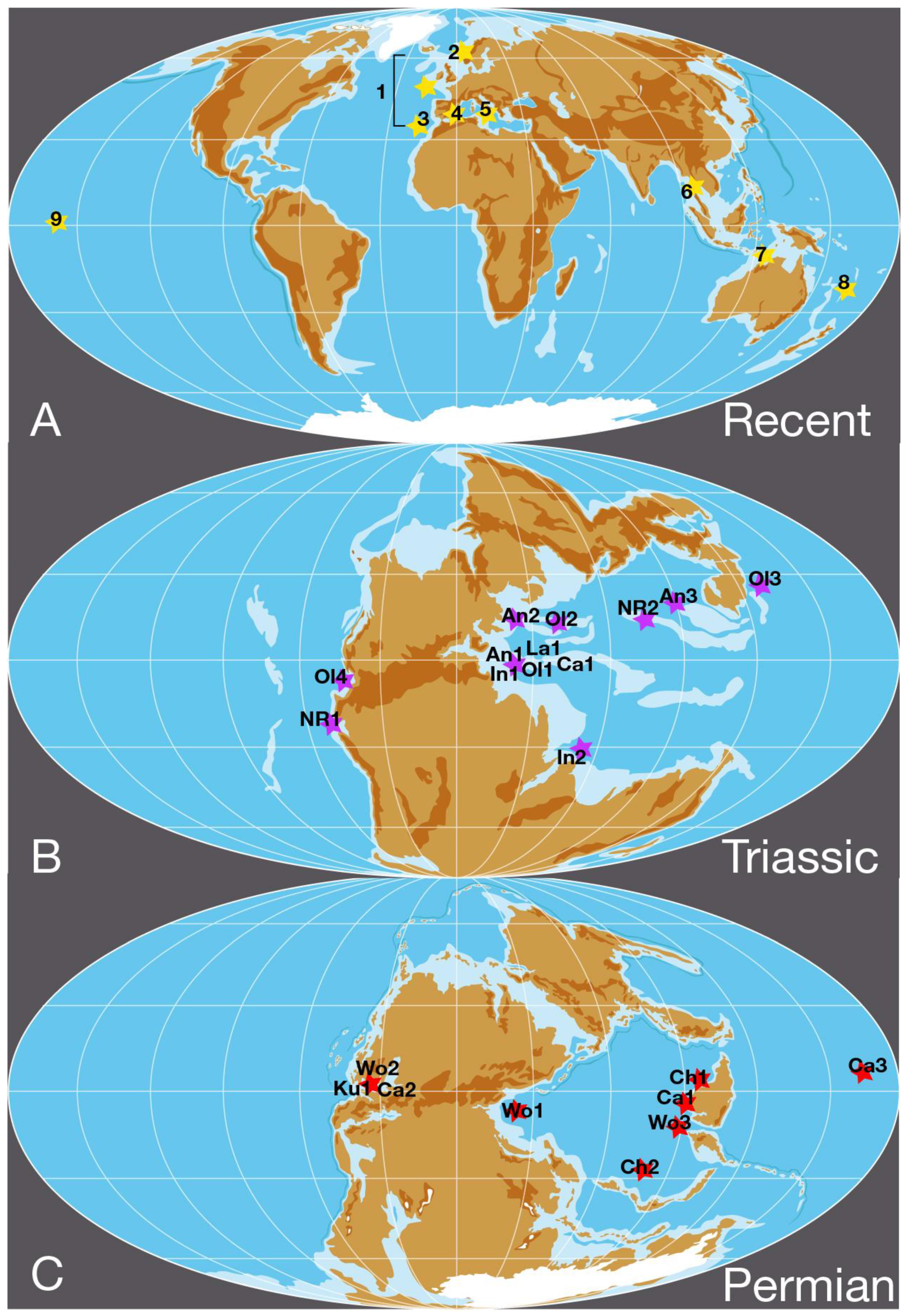 The Revolution of Small Snails and the Early Modern Evolutionary Fauna ...