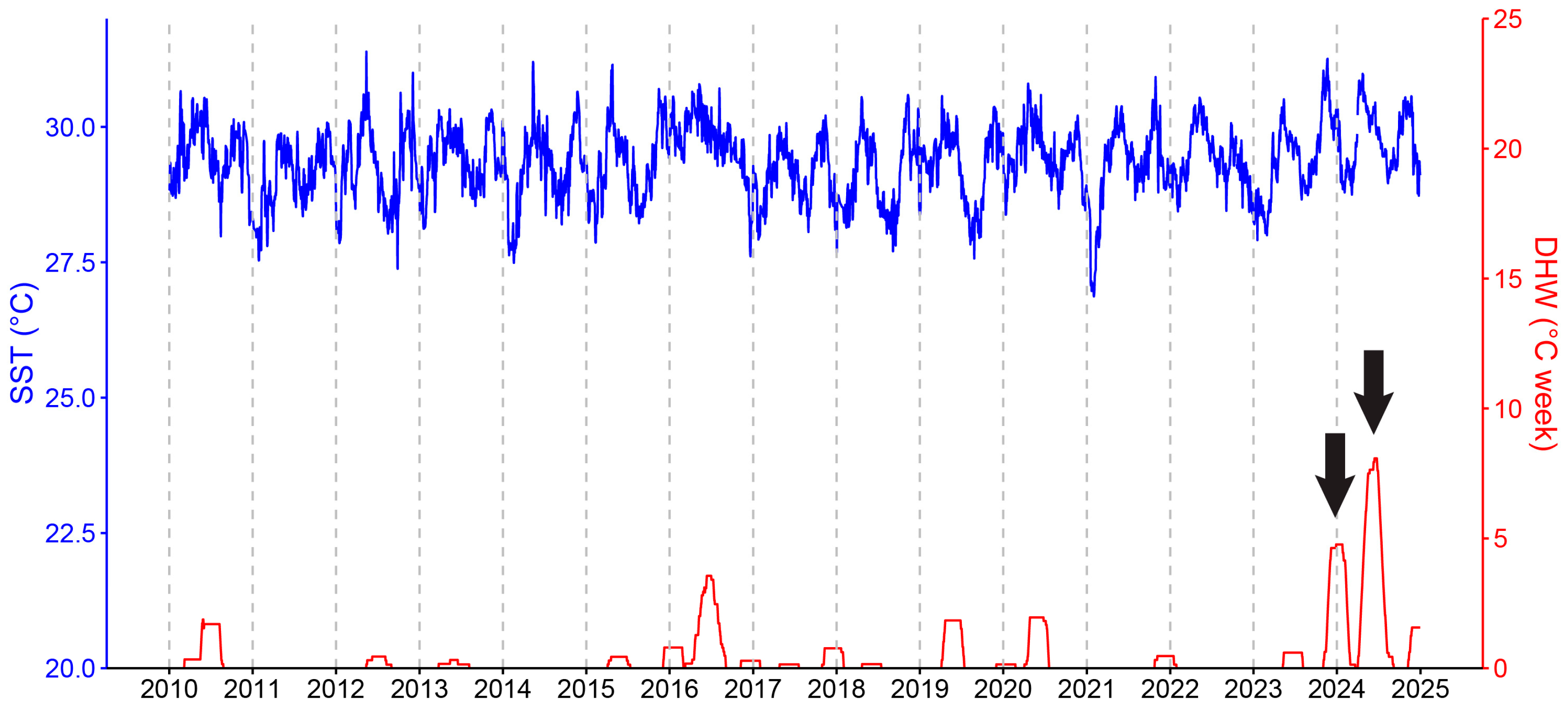 Coral Bleaching and Recovery on Urban Reefs off Jakarta, Indonesia ...