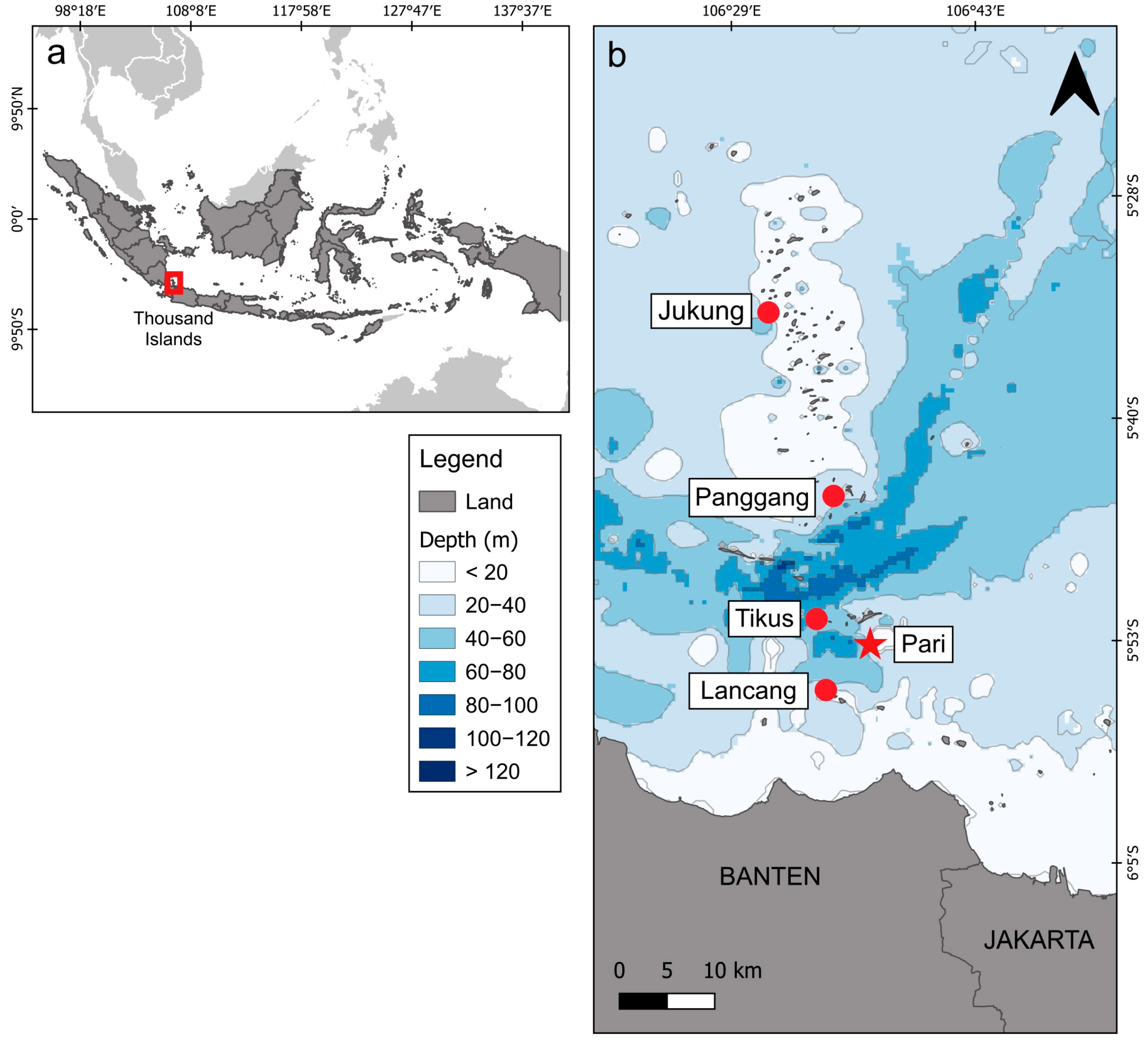 Coral Bleaching and Recovery on Urban Reefs off Jakarta, Indonesia ...