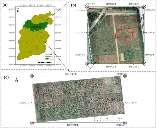 UAV LiDAR-Based Automated Detection of Maize Lodging in Complex ...