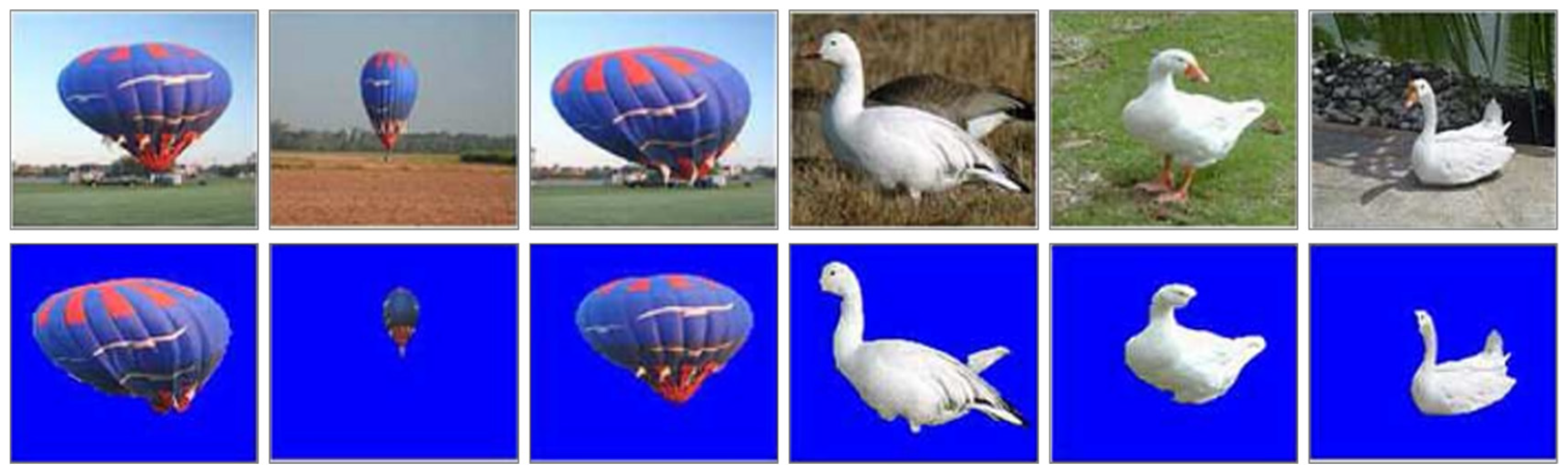 Techniques and Challenges of Image Segmentation: A Review | MDPI