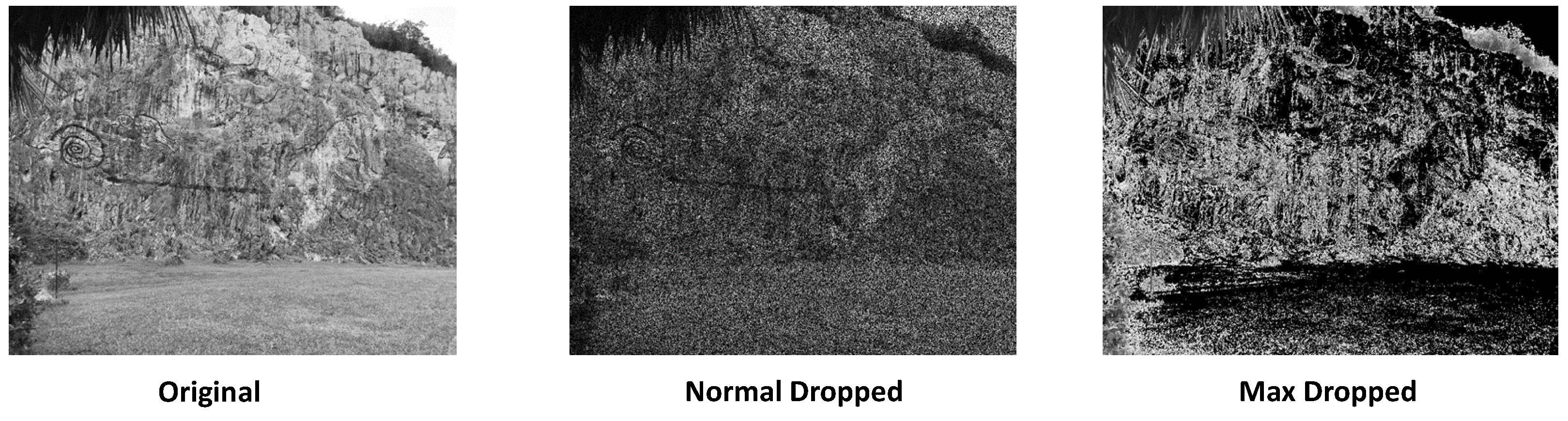 A Review on Dropout Regularization Approaches for Deep Neural Networks ...